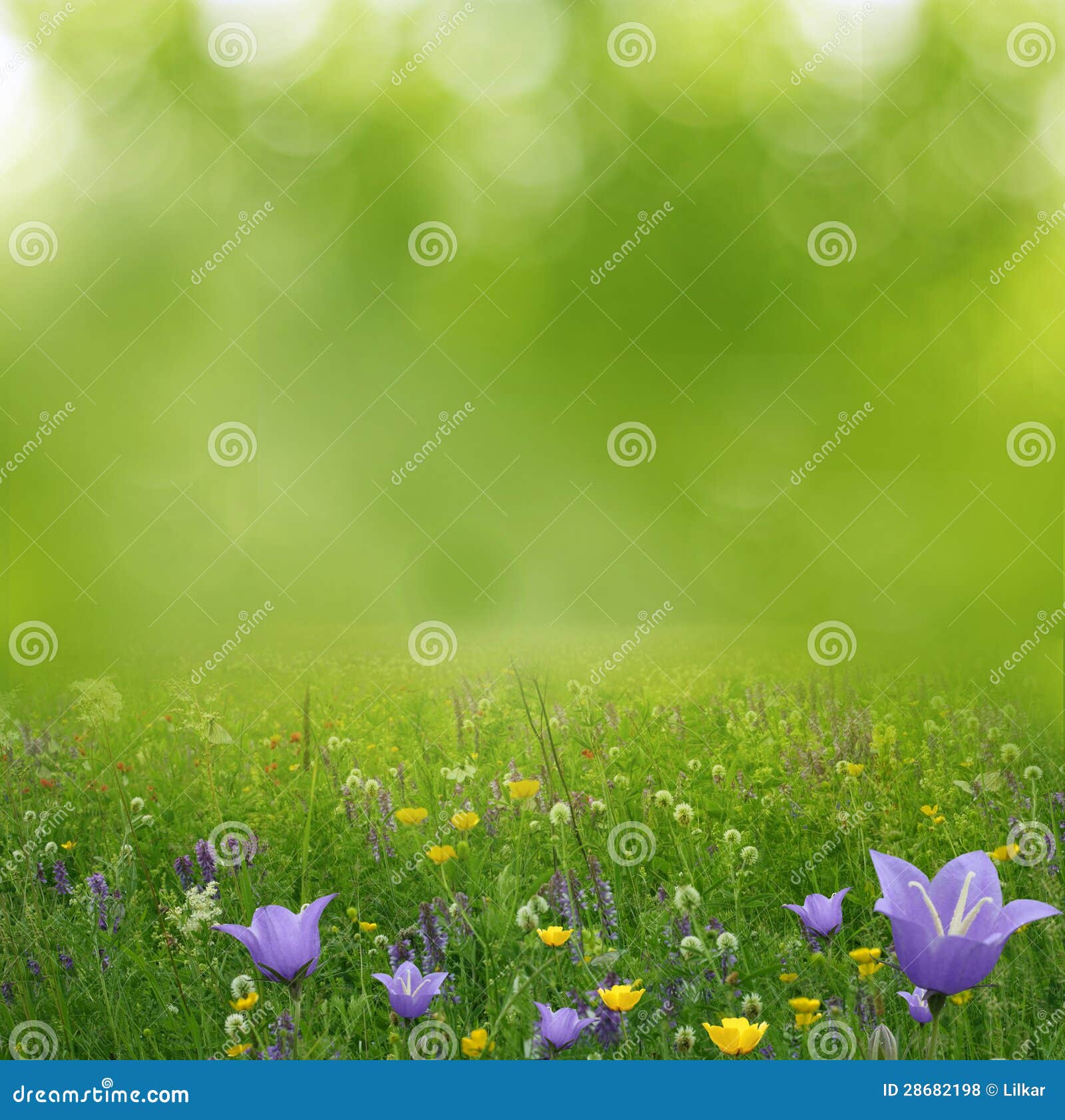 Fondo del verano foto de archivo. Imagen de amanecer - 28682198