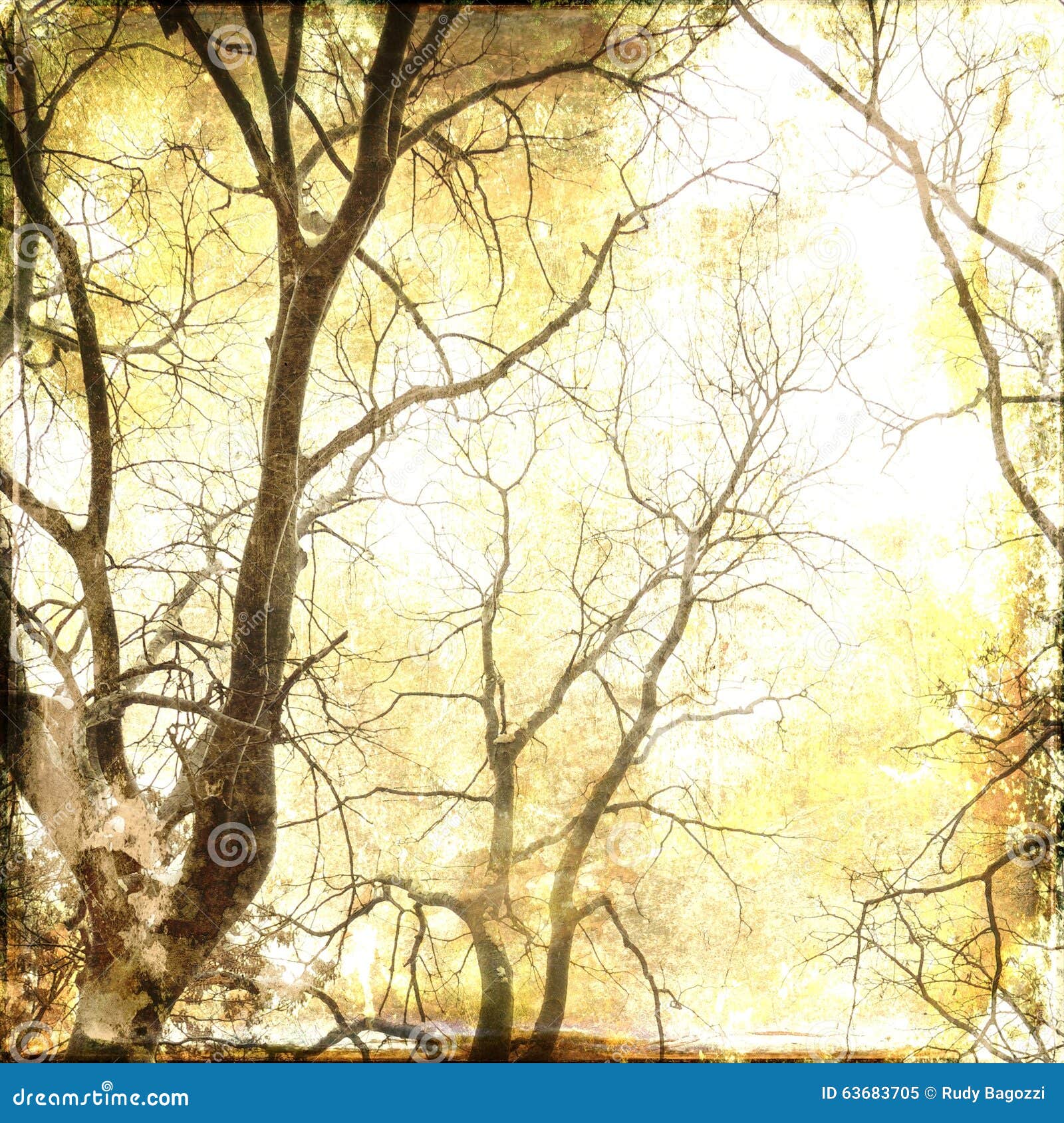 Fondo Desnudo De Las Ramas Del Vintage Imagen de archivo - Imagen de ...