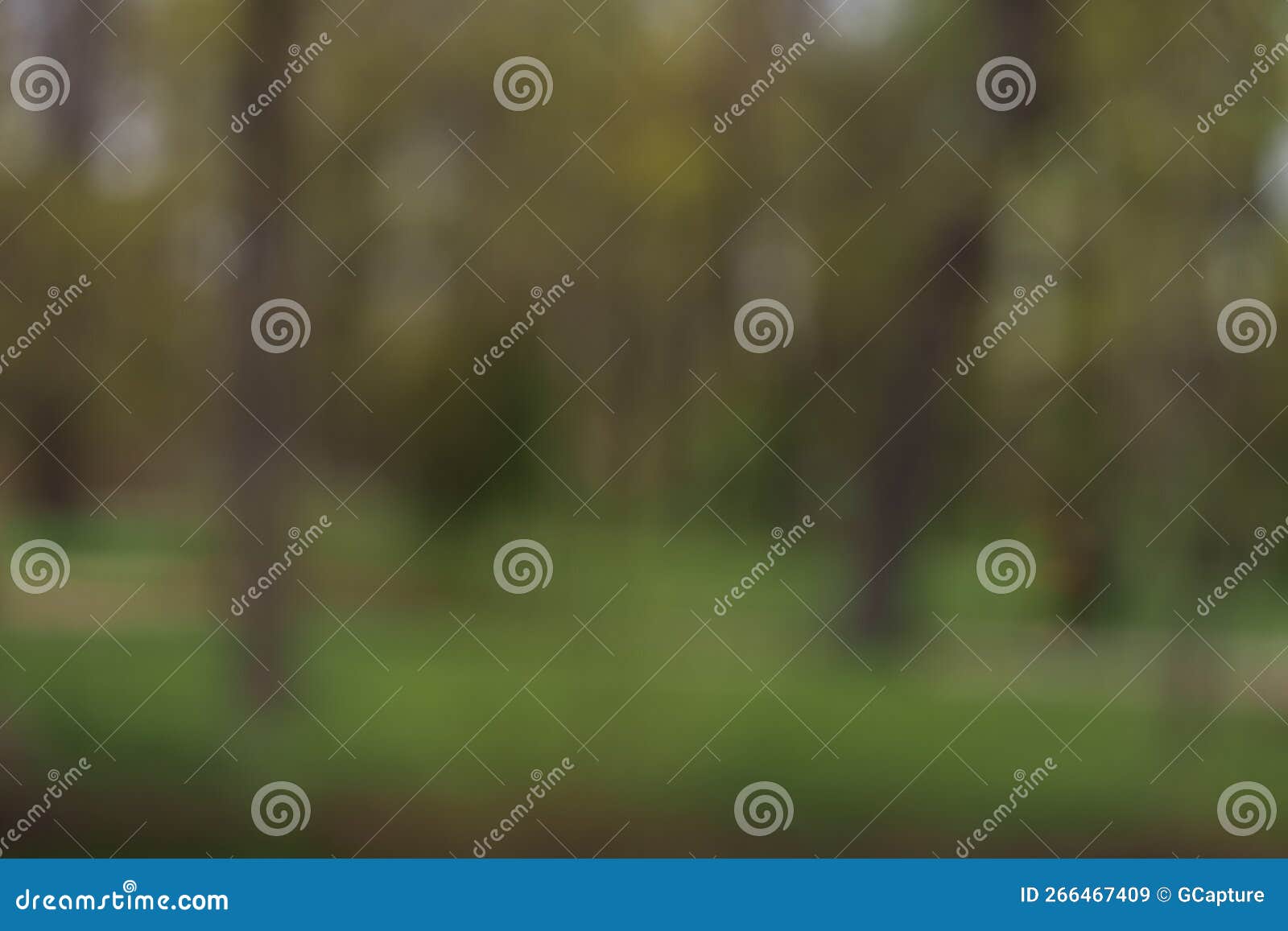 Fondo Exterior Borroso Del Bosque Imagen de archivo - Imagen de ...