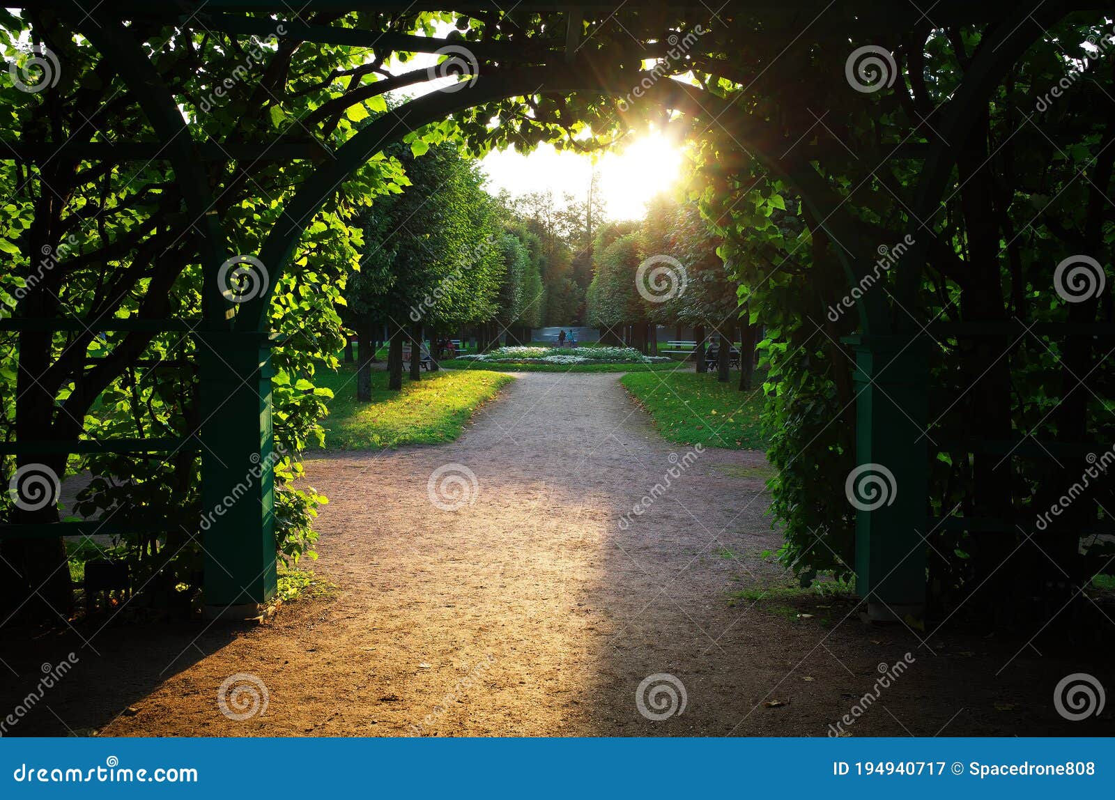 Fondo Exterior Del Arco Del Parque Soleado Imagen de archivo - Imagen ...