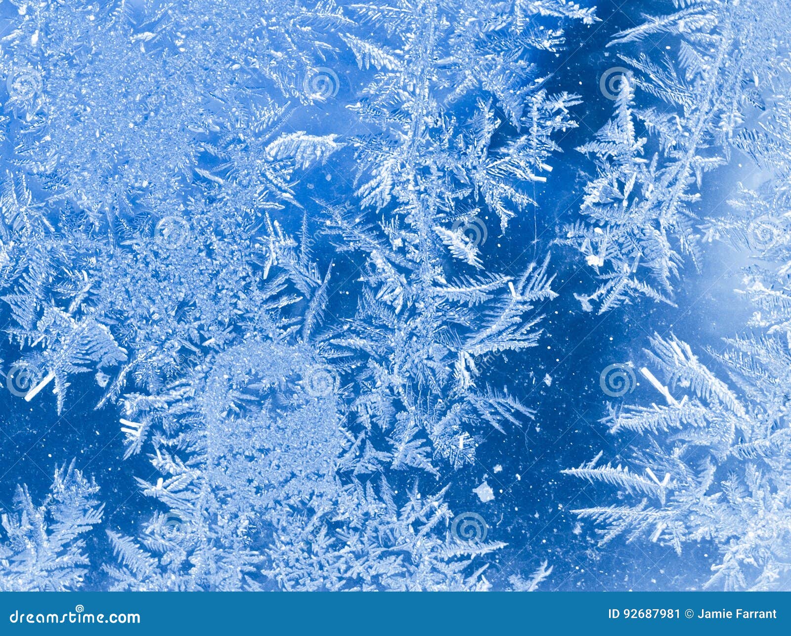 Fondo Frío De La Helada Del Invierno Imagen de archivo - Imagen de ...
