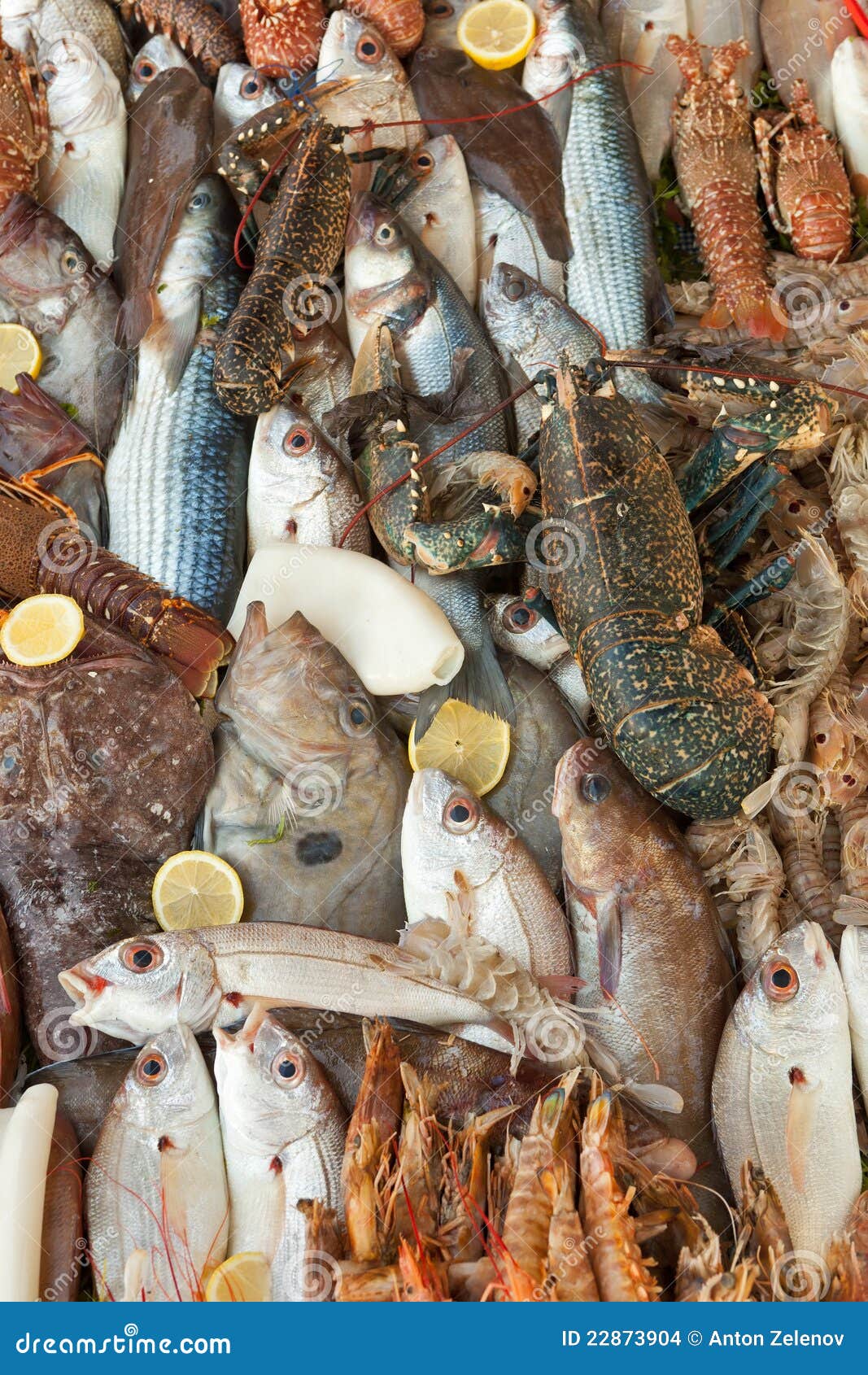 Fondo Fresco De Los Mariscos Foto de archivo - Imagen de marruecos ...