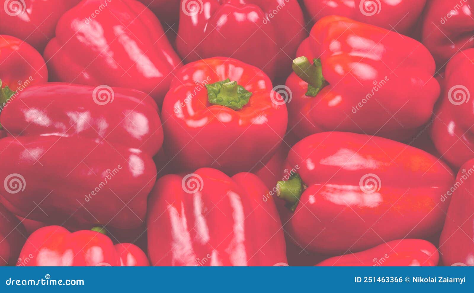 Fondo Fresco De Pimiento Rojo Foto de archivo - Imagen de grupo, color ...