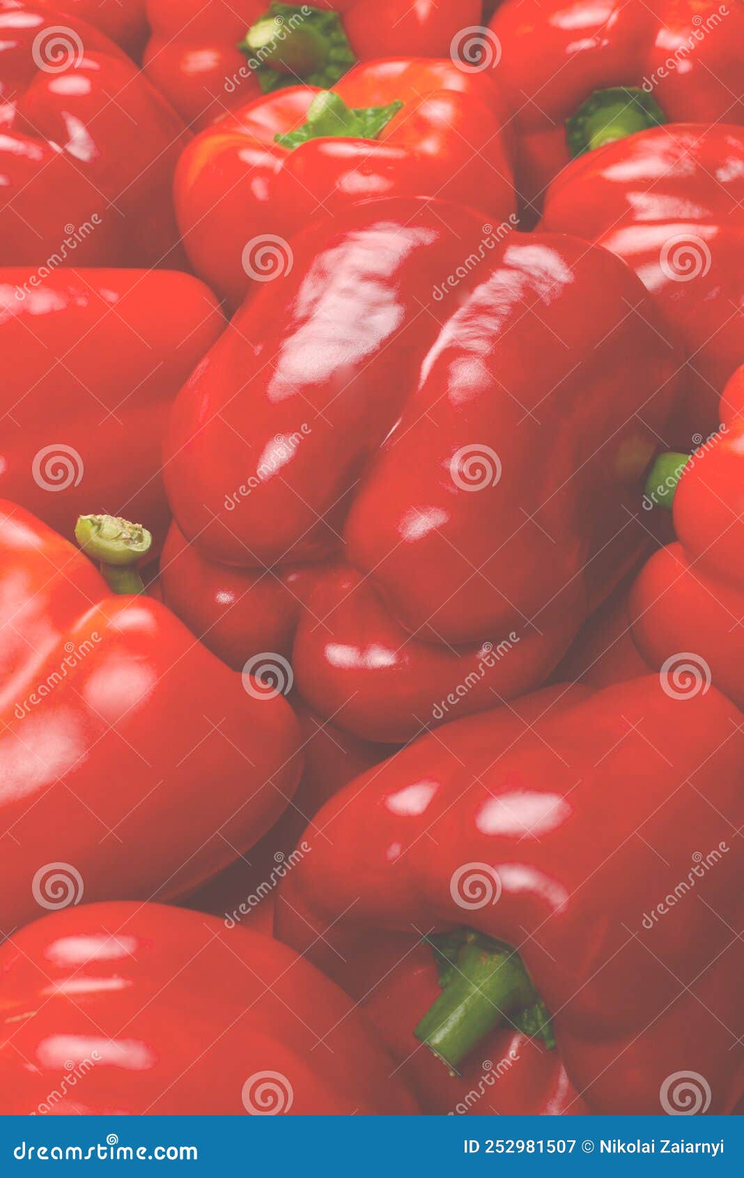 Fondo Fresco De Pimiento Rojo Imagen de archivo - Imagen de color ...