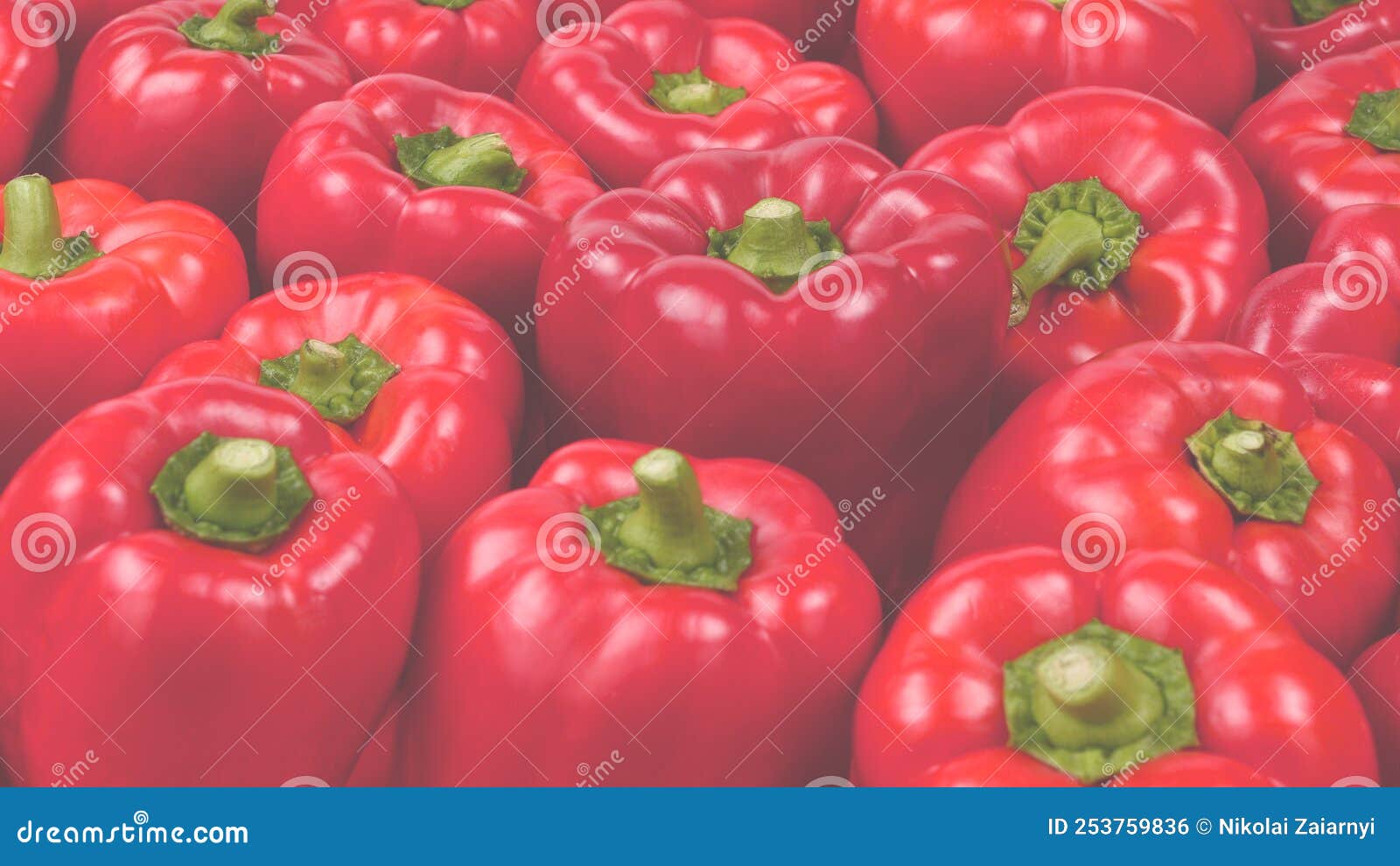 Fondo Fresco De Pimiento Rojo Foto de archivo - Imagen de plantas ...