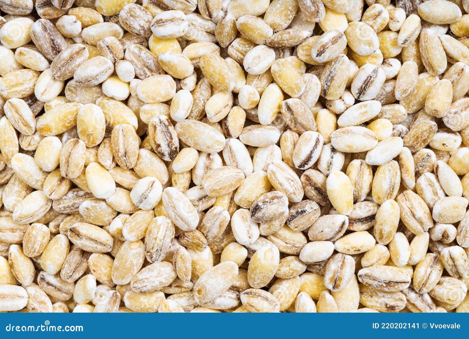 Fondo Granos De Cebada Perlados Sin Cocer Imagen de archivo - Imagen de ...