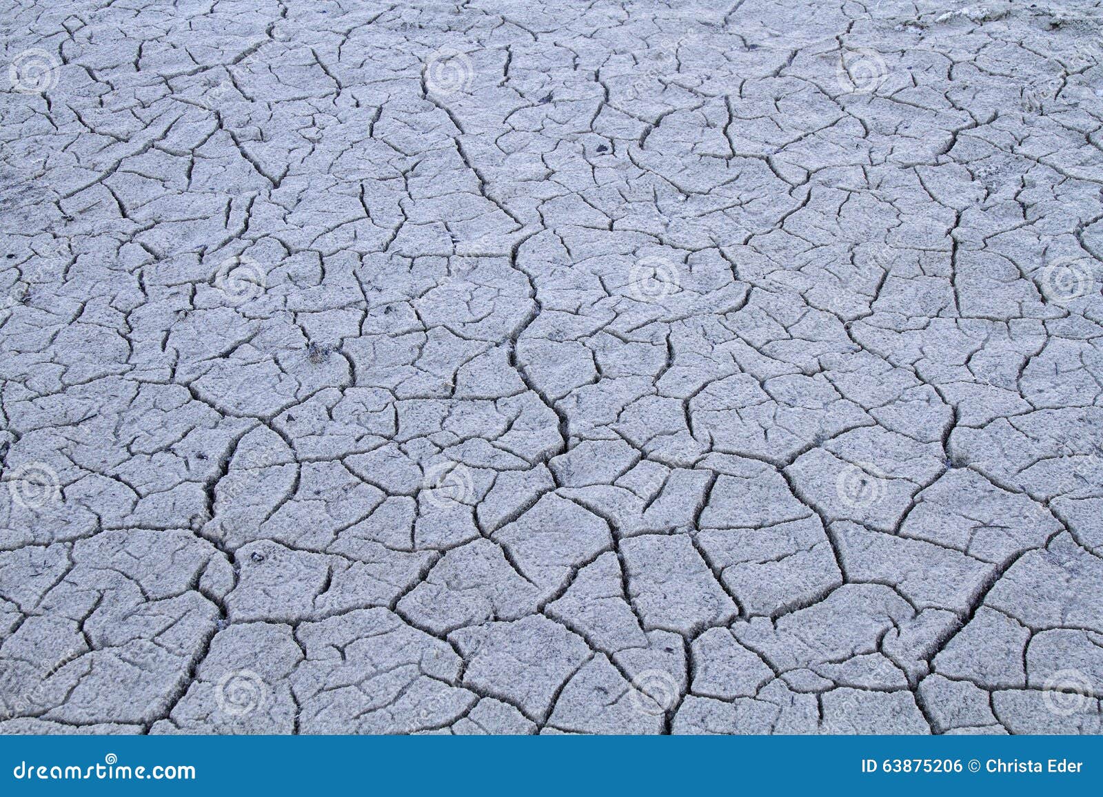 Fondo - Grietas En Corteza Seca Foto de archivo - Imagen de hierba ...