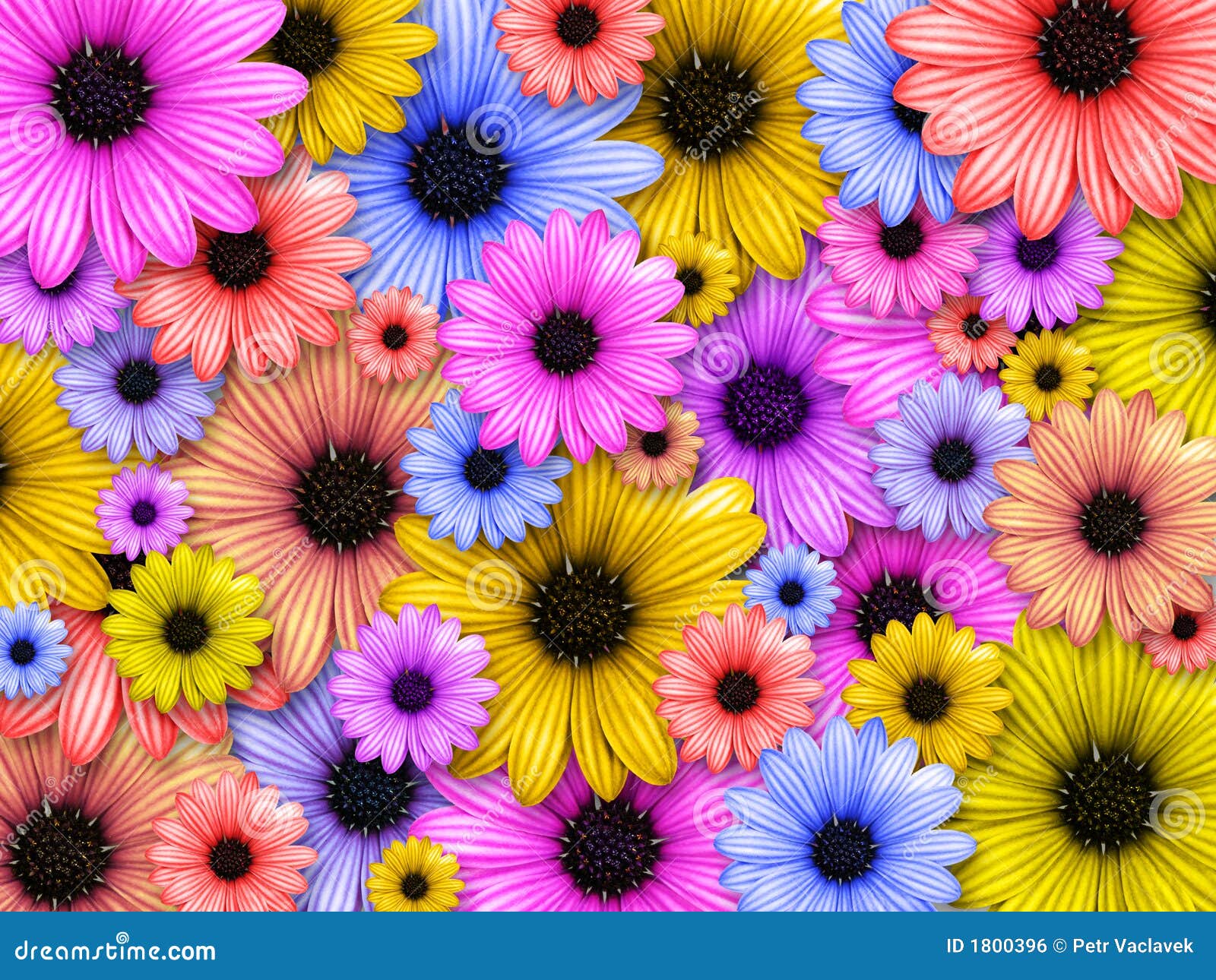Fondo Hecho De Las Flores Coloreadas Stock de ilustración - Ilustración ...