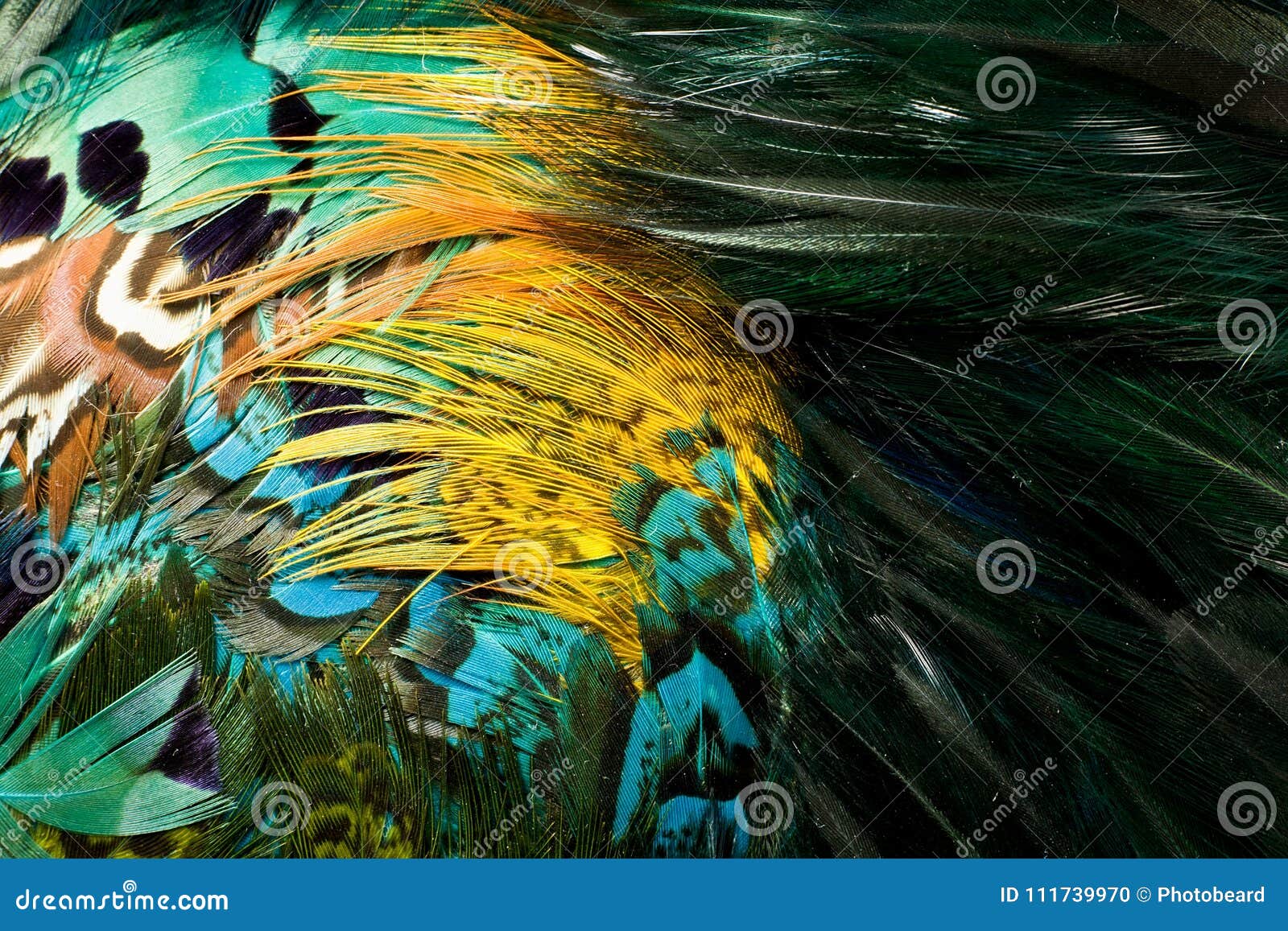 Fondo loco de las plumas foto de archivo. Imagen de plumas - 111739970