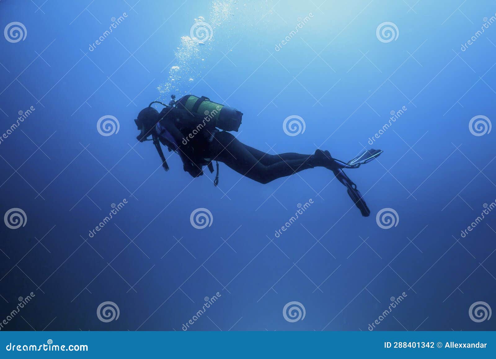 Fondo marino de buceo foto de archivo. Imagen de explorar - 288401342