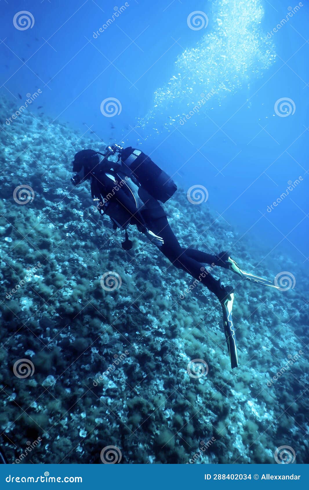 Fondo marino de buceo foto de archivo. Imagen de sumergido - 288402034