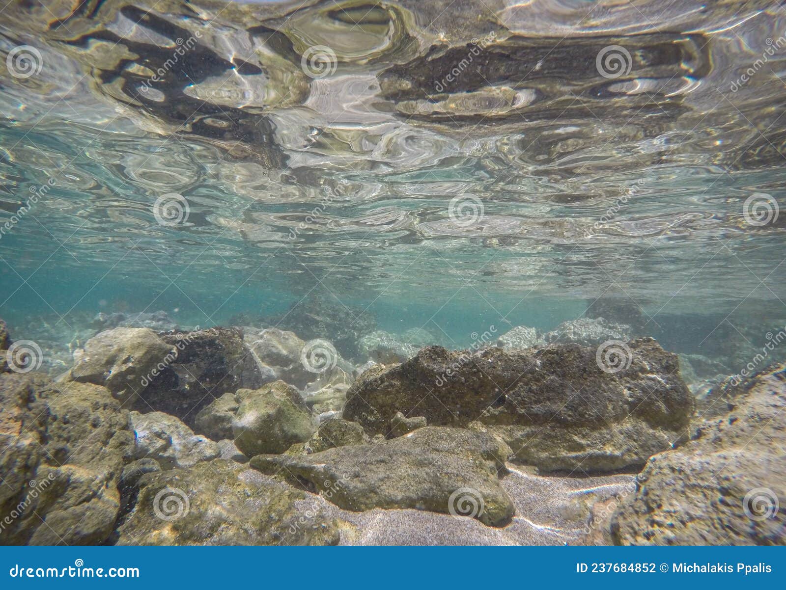 Fondo Marino Submarino Con Fondo Rocoso Foto de archivo - Imagen de ...