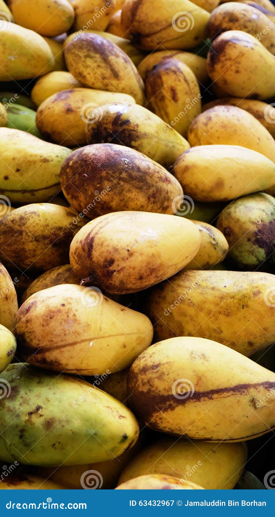 Fondo maturo del mango immagine stock. Immagine di carnoso - 63432967