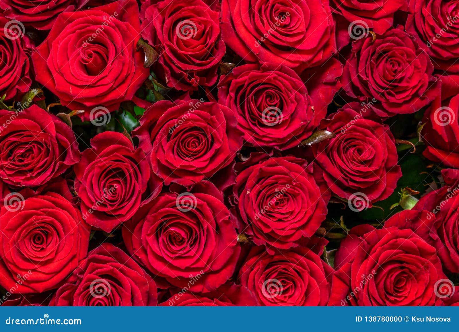 Fondo Natural De Las Rosas Rojas Foto de archivo - Imagen de macro ...