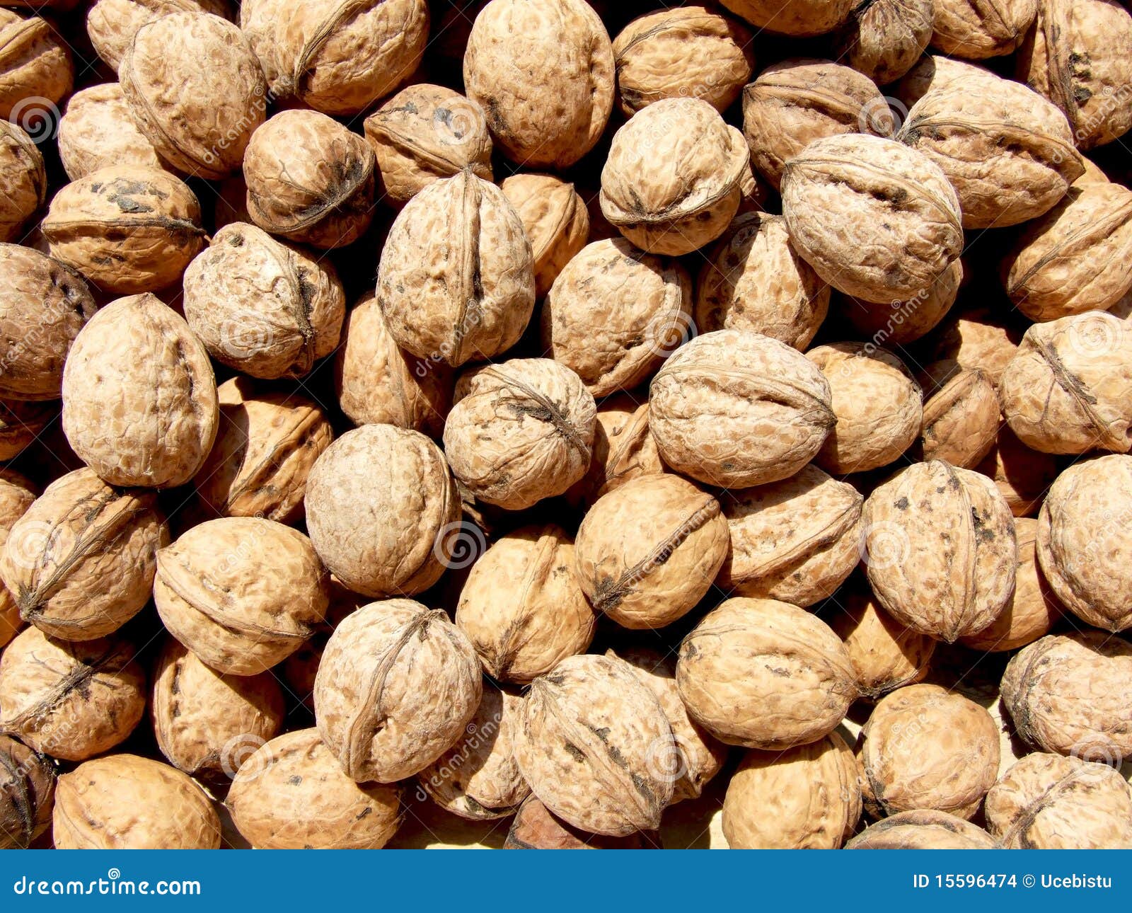 Fondo Nuts foto de archivo. Imagen de duro, nuez, alimento - 15596474