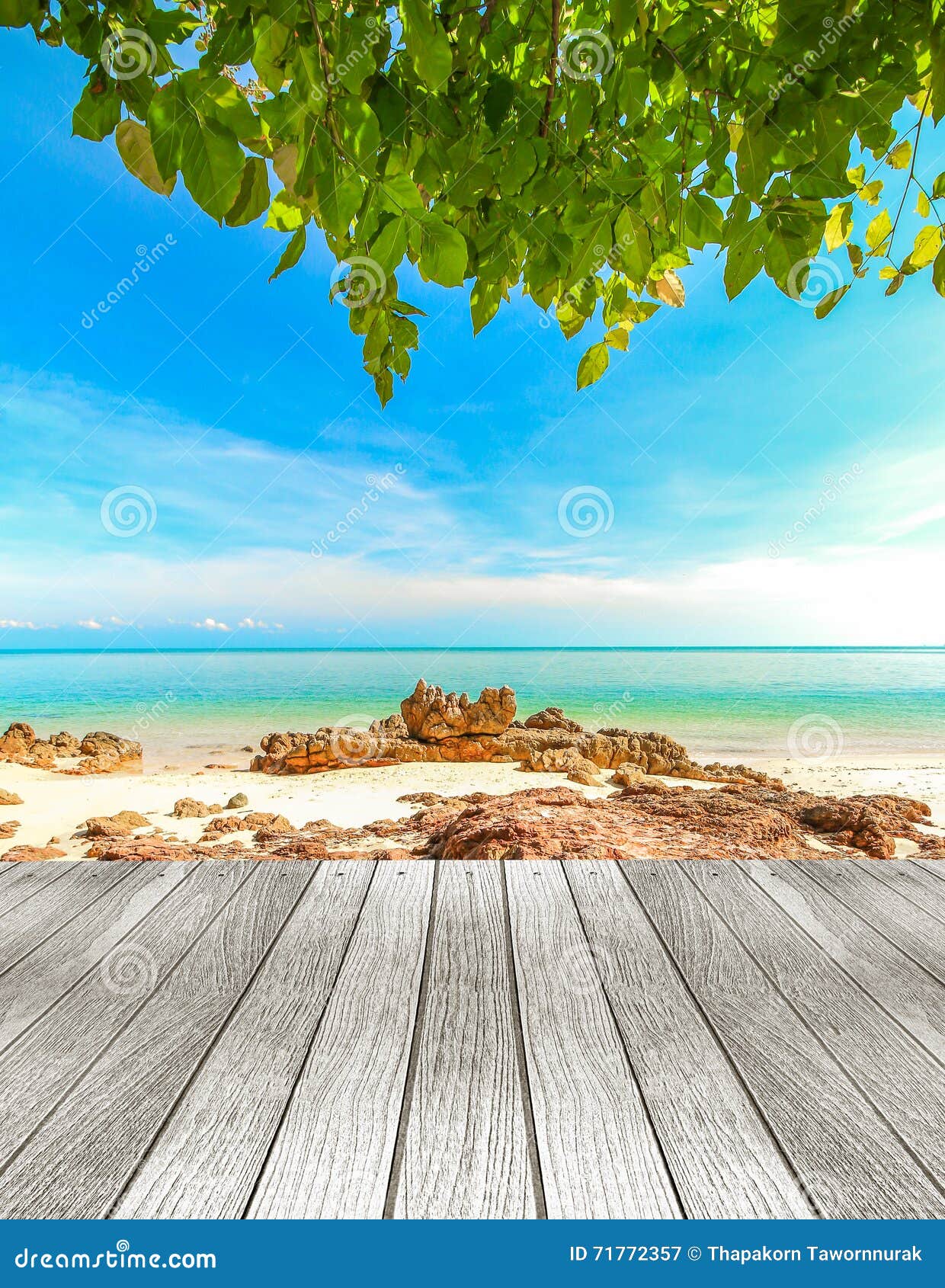 Fondo Pacifico Della Spiaggia Immagine Stock - Immagine di pacifico ...