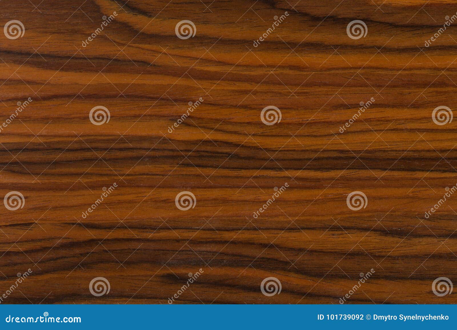 Fondo Paliducho Con Los Modelos Naturales Foto de archivo - Imagen de ...