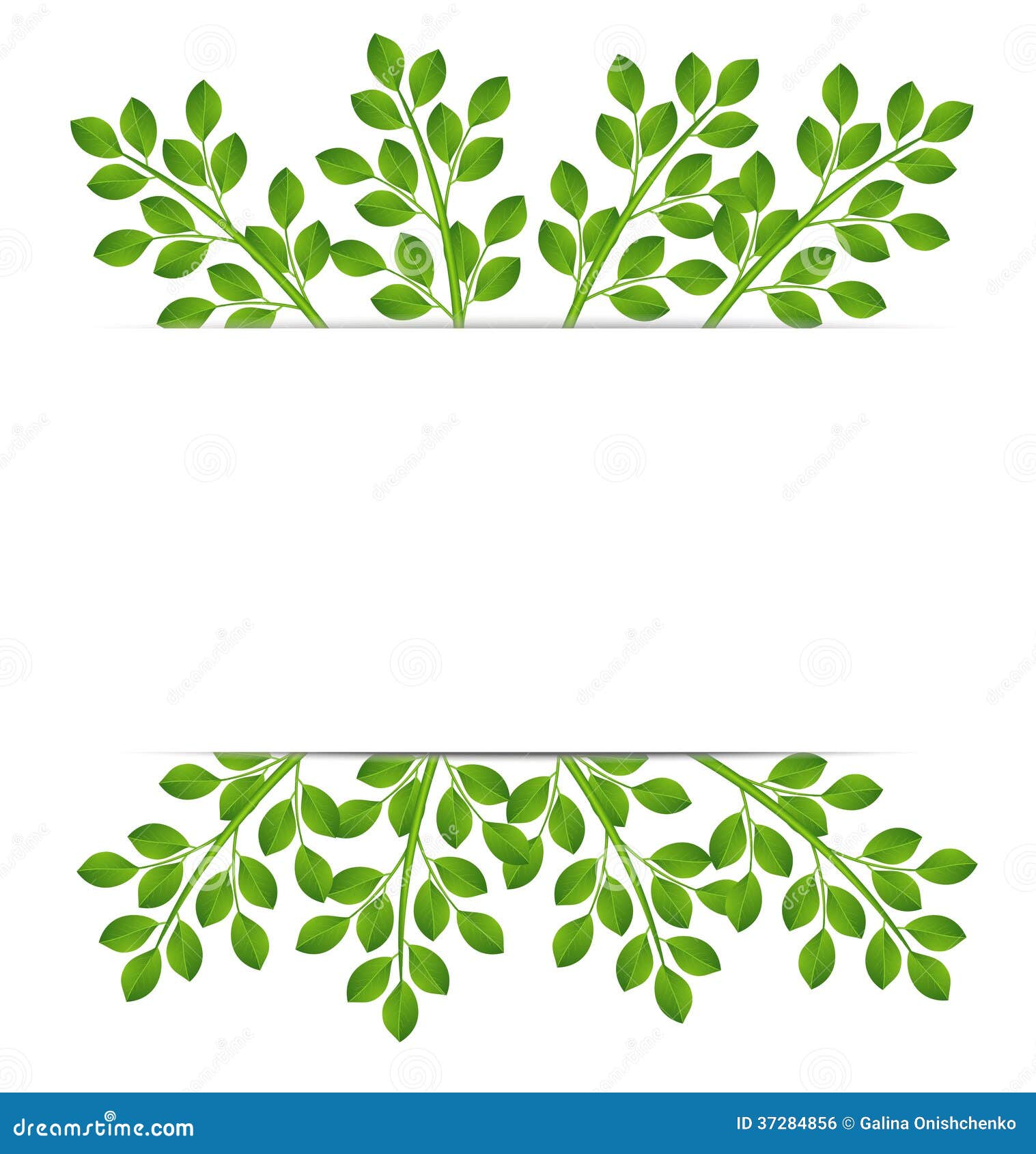 Fondo Para Un Diseño Con Las Ramas Verdes Ilustración del Vector ...