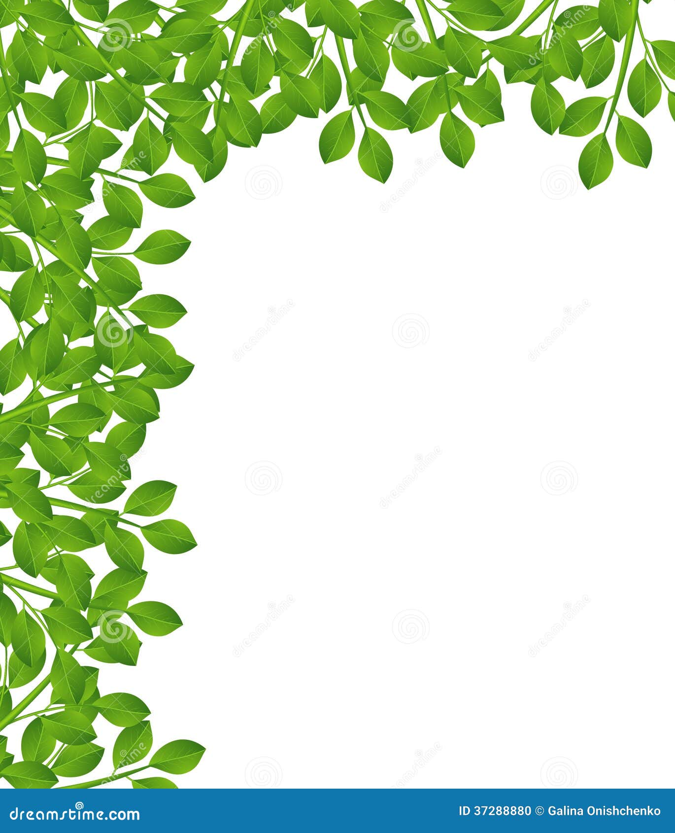 Fondo Para Un Diseño Con Las Ramas Verdes Stock de ilustración ...