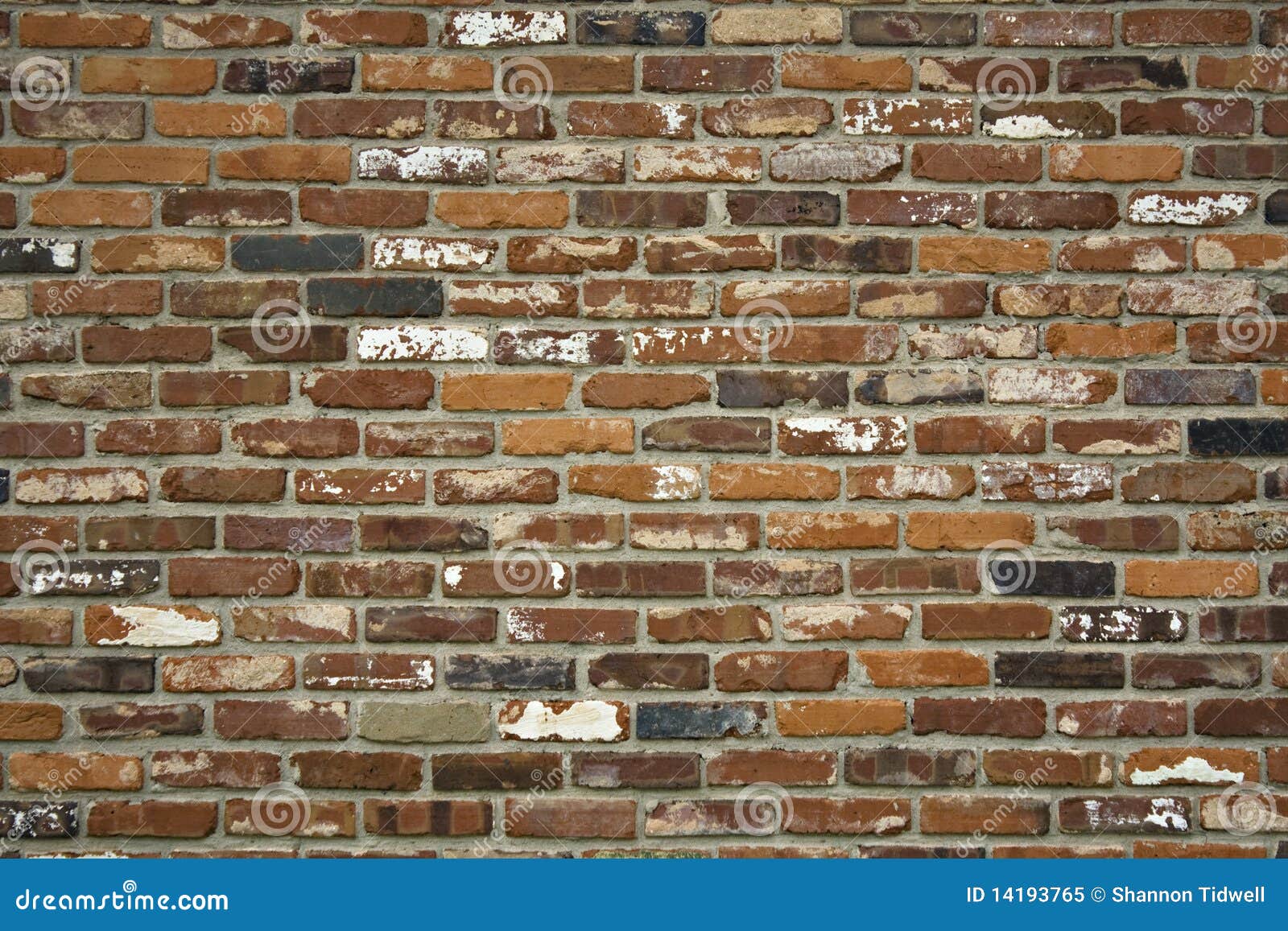 Fondo Pintado Colorido Del Ladrillo Imagen de archivo - Imagen de ...