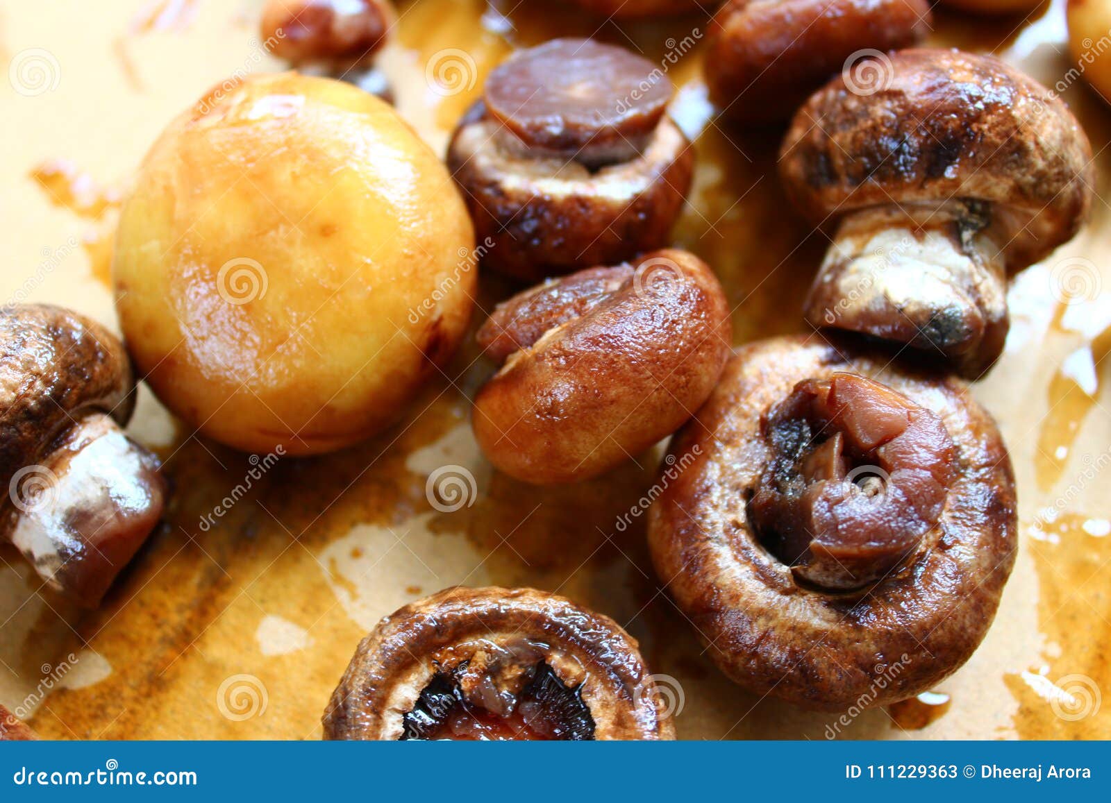 Fondo Putrefacto De Las Setas Imagen de archivo - Imagen de crudo ...