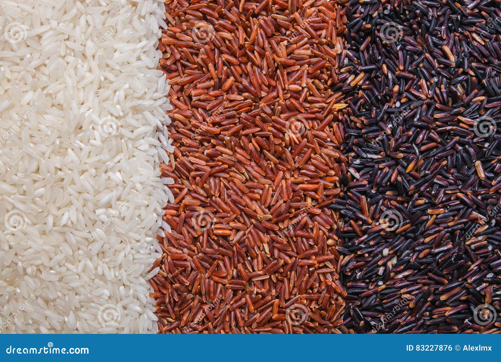 Fondo Rosso E in Bianco E Nero Del Riso Fotografia Stock - Immagine di ...