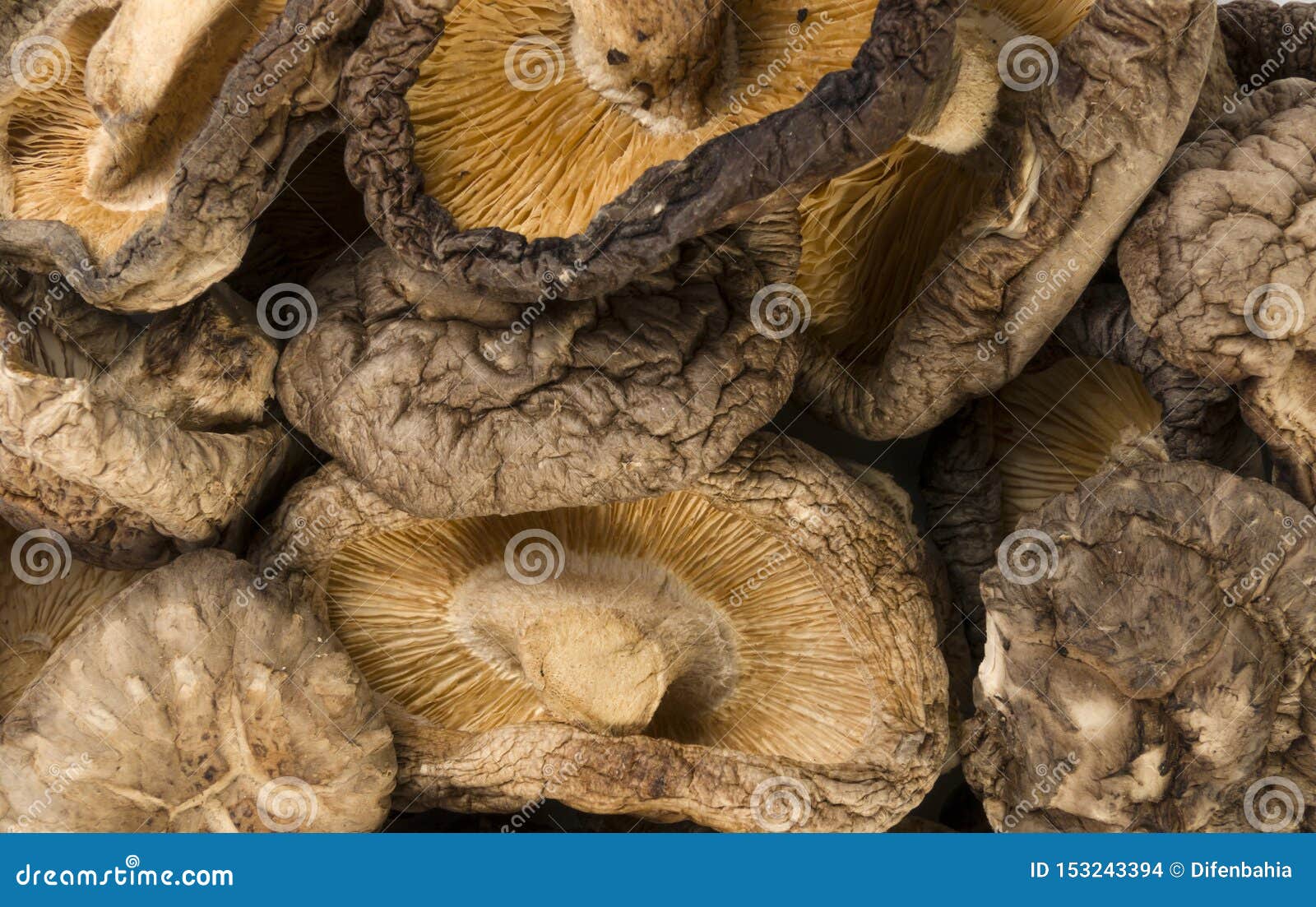 Fondo Secado De La Seta De Shitake Ingrediente Alimentario Foto de ...
