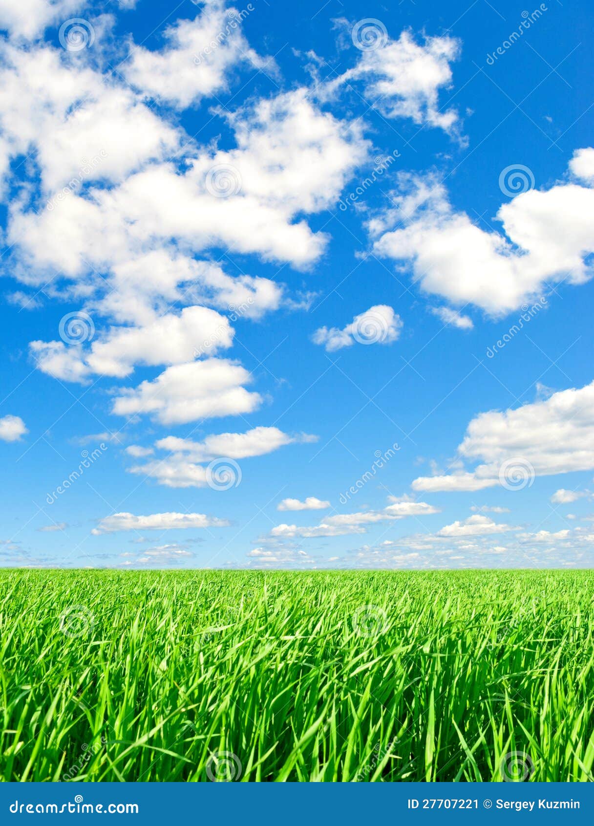 Fondo - Verano, Naturaleza, Verticalmente. Imagen de archivo - Imagen ...