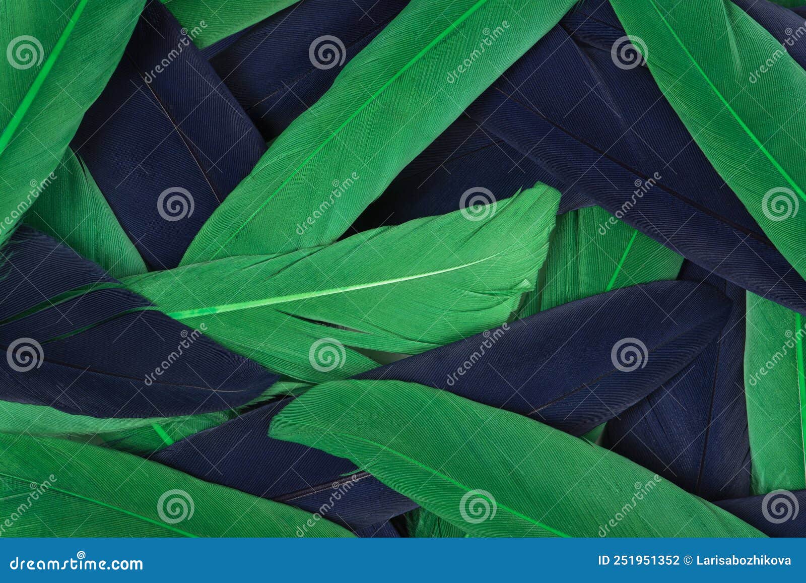 Fondo Verde Y Azul De Plumas Foto de archivo - Imagen de pluma ...