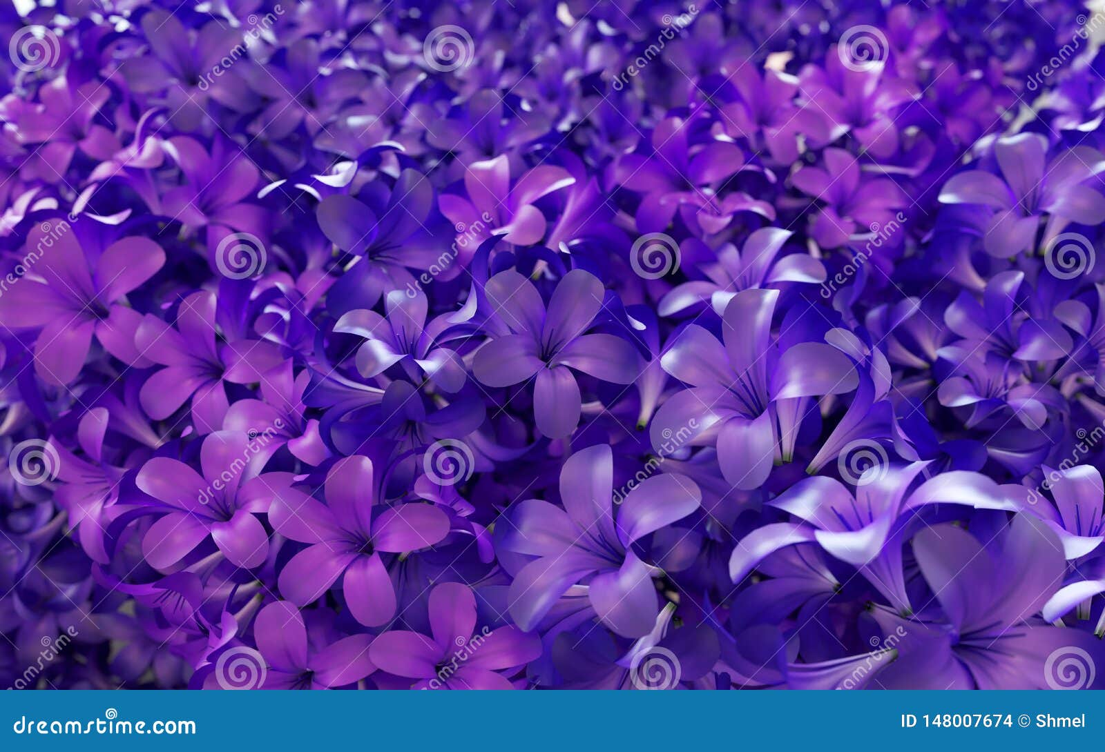 Fondo Violeta De La Flor De La Lila Foto de archivo - Imagen de ...