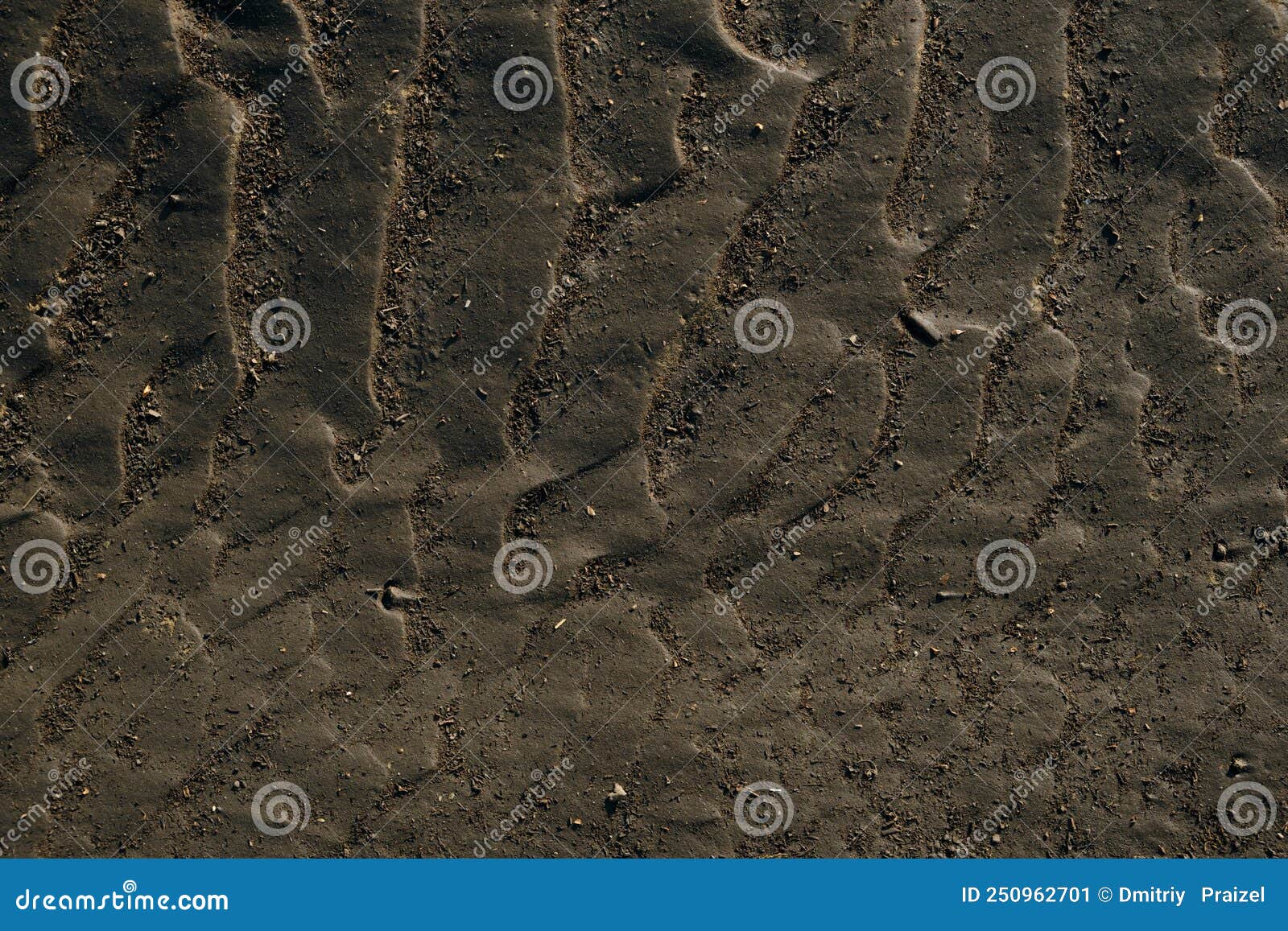 Fondo Y Textura Arena Fondo Mar Seco Imagen de archivo - Imagen de ...