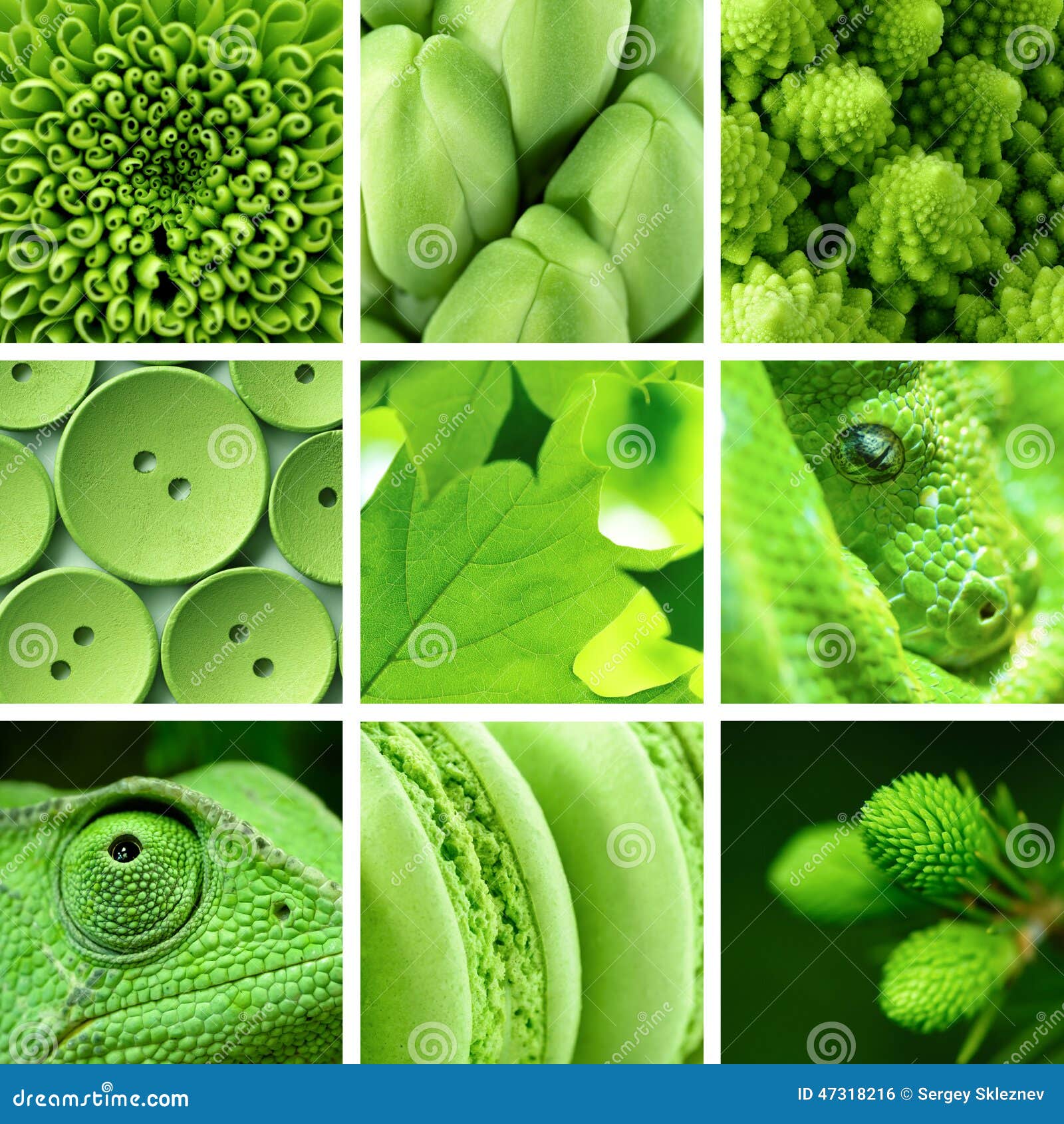 Fondos Y Collage Verdes De Las Texturas Foto de archivo - Imagen de ...