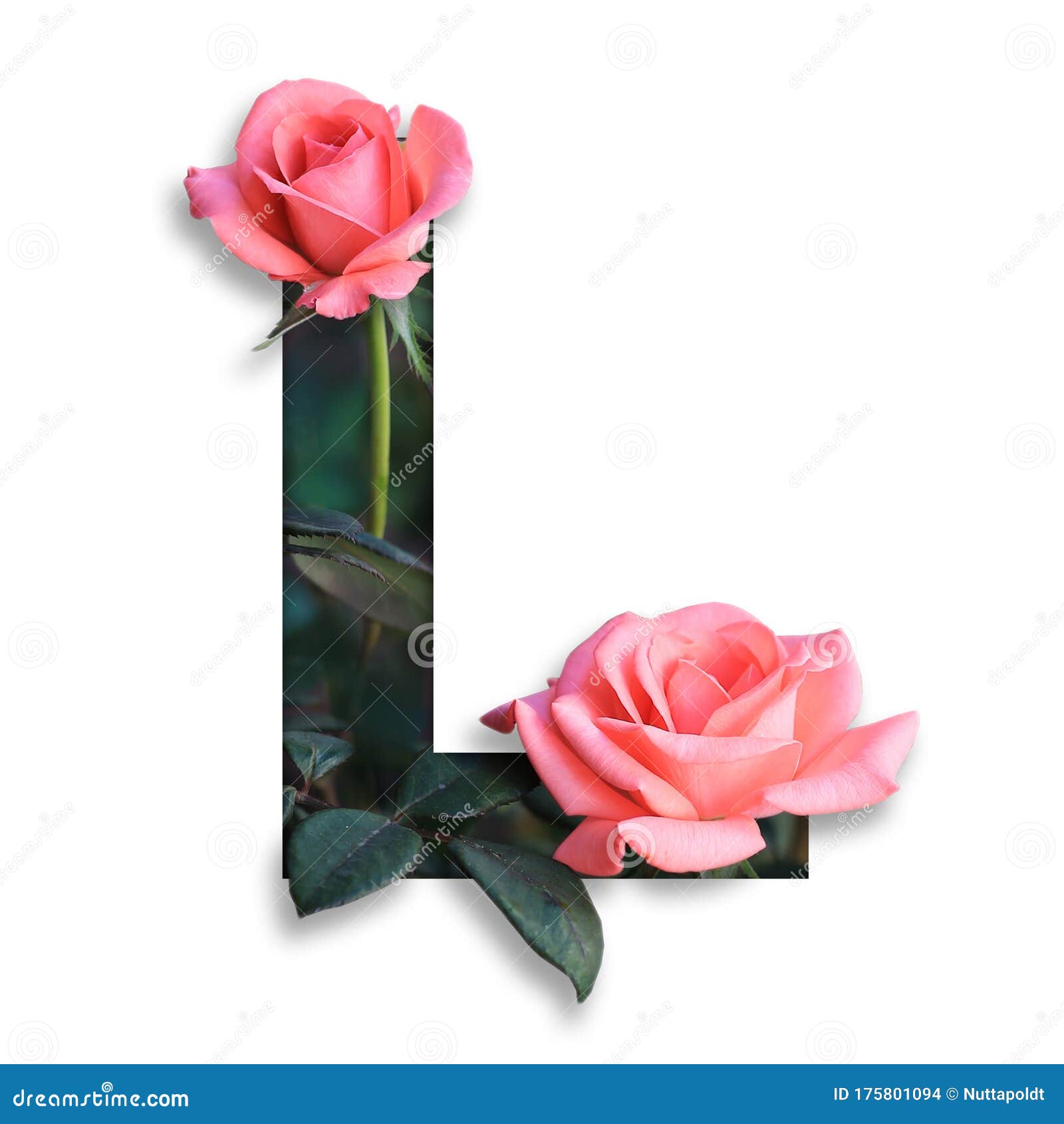 Font with Flower L Made Form Flower for Desing Decoration Stock Photo ...