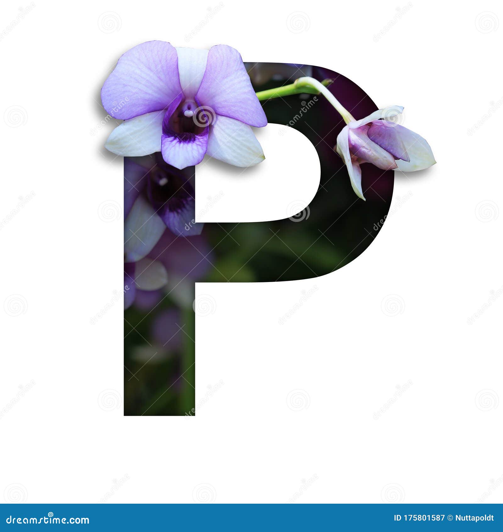 Font with Flower P Made Form Flower for Desing Decoration Stock Image ...
