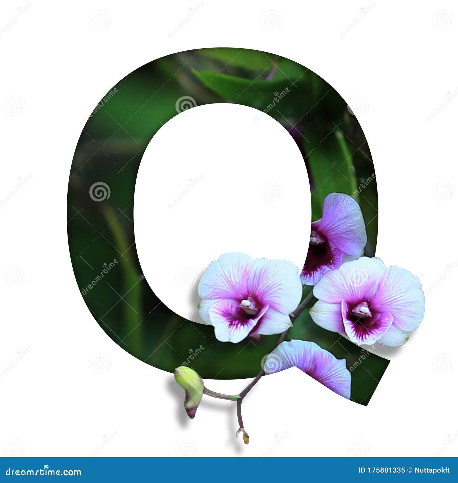 Font with Flower Q Made Form Flower for Desing Decoration Stock Image ...