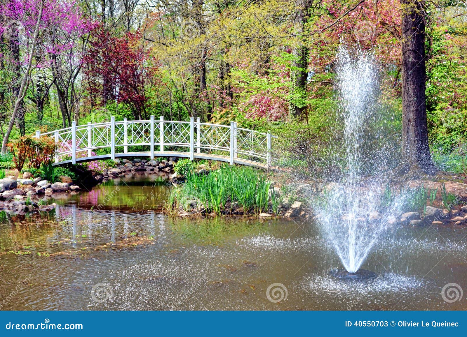 Fonte E Ponte Do Jardim Botânico Do Parque De Sayen Imagem de Stock ...