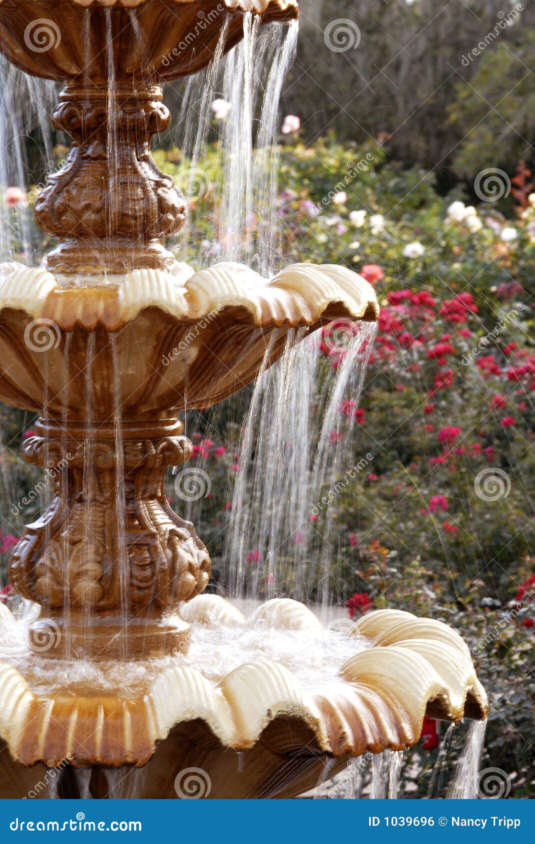 Fontein stock foto. Image of middag, ontspanning, stedelijk - 1039696