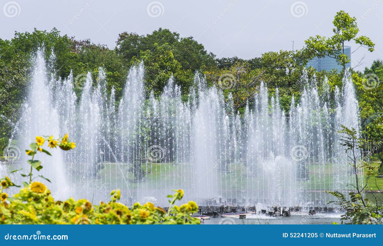 Fontein in Vijver in Tuin, Bangkok Stock Afbeelding - Image of mooi ...