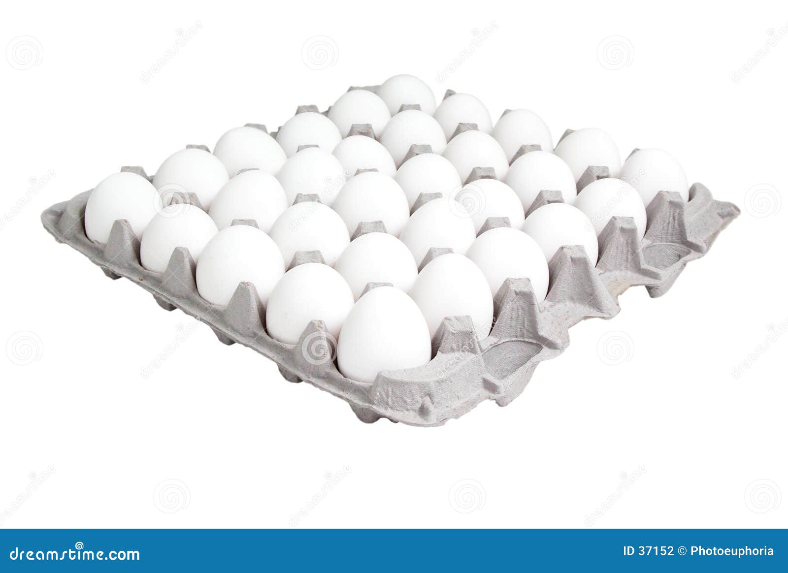 Food: 24 Count Carton of Eggs Stock Photo - Image of large, uncooked: 37152