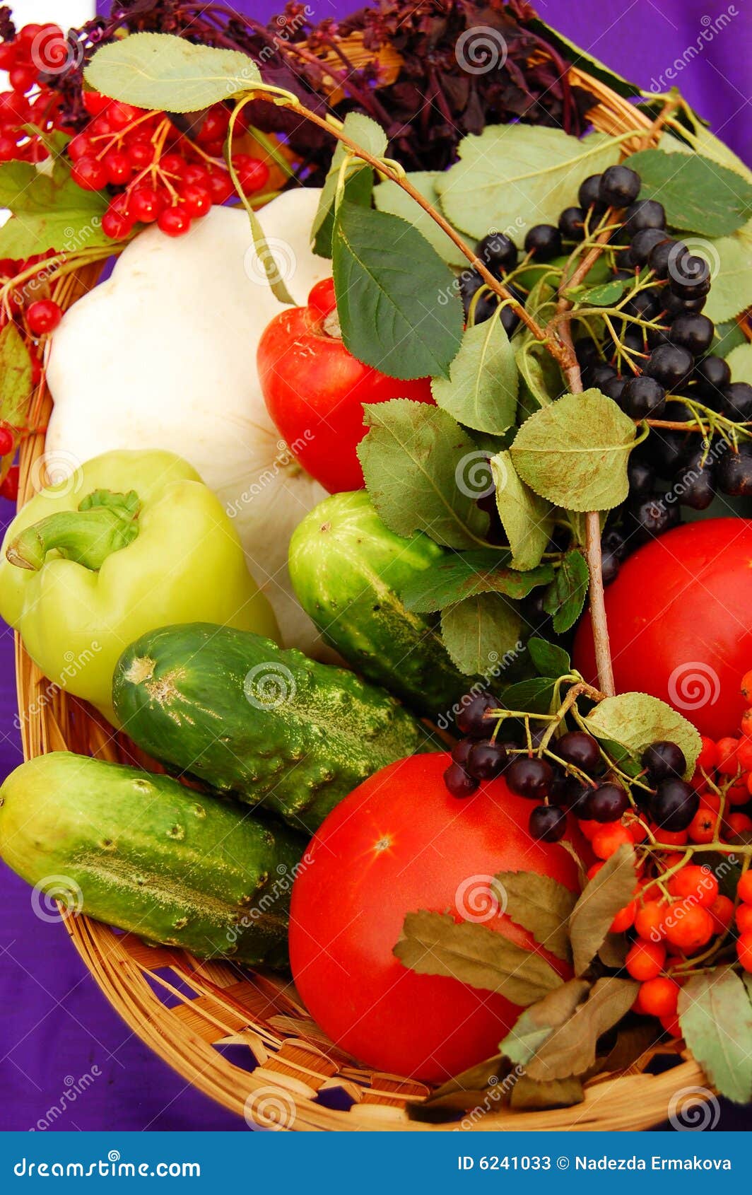 Food stock image. Image of fresh, close, plants, dinner - 6241033