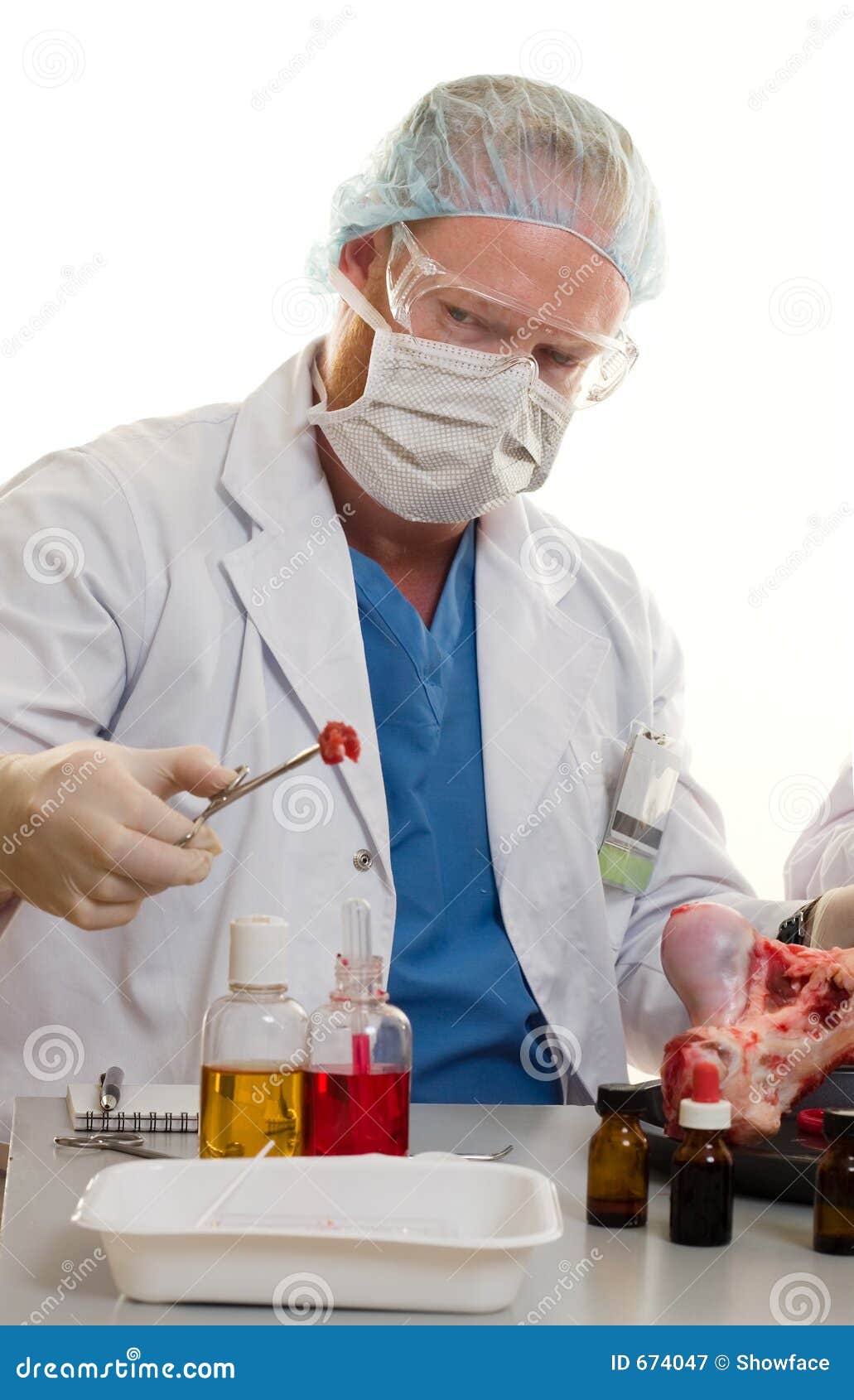 Food and Agricultural Researcher Stock Image - Image of biochemical ...