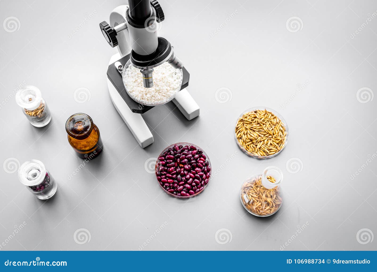 Food Analysis Process. Rice Under Microscope, Red Beans and Wheat in ...