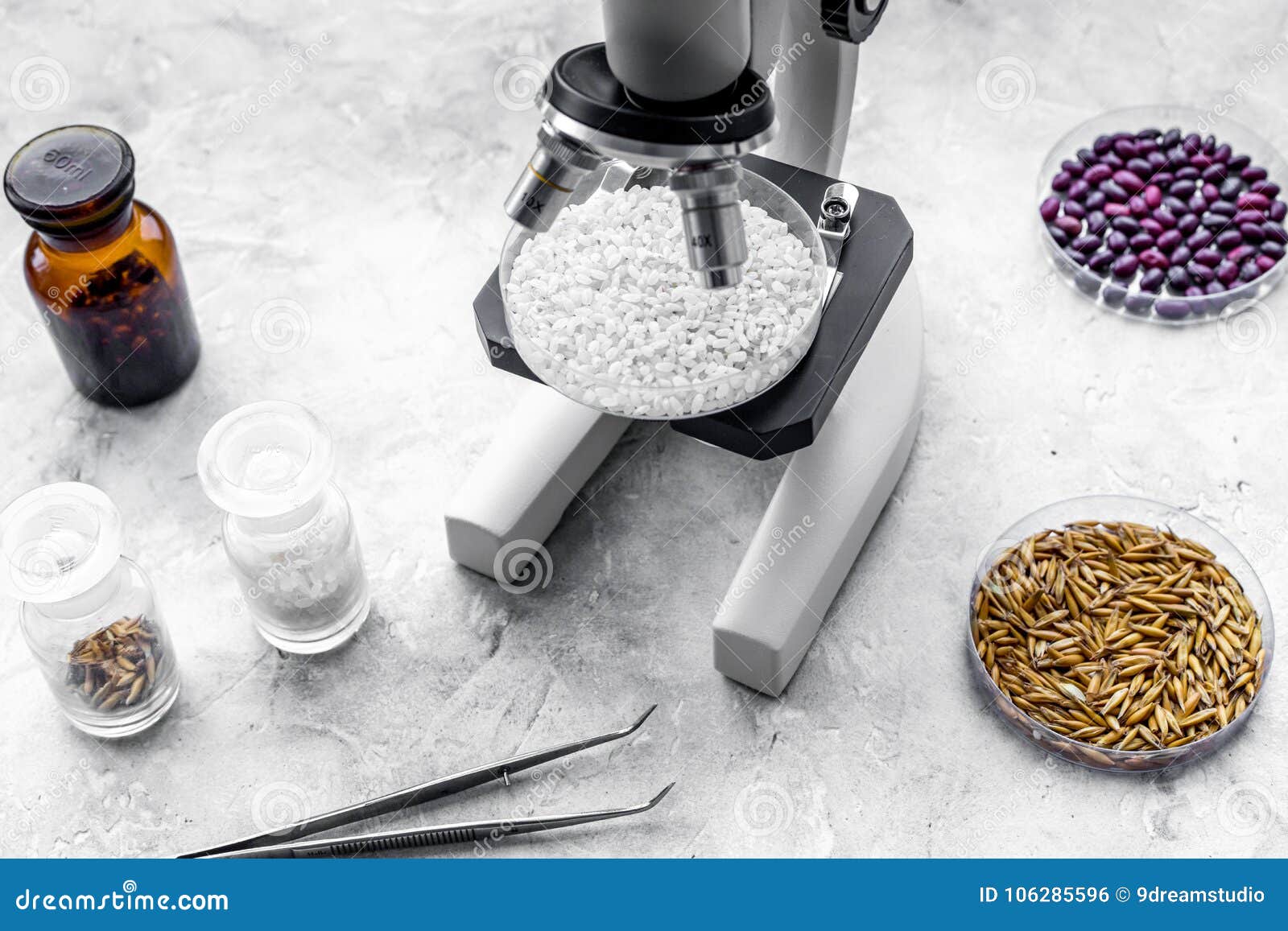 Food Analysis. Rice Under the Microscope on Grey Background Stock Photo ...