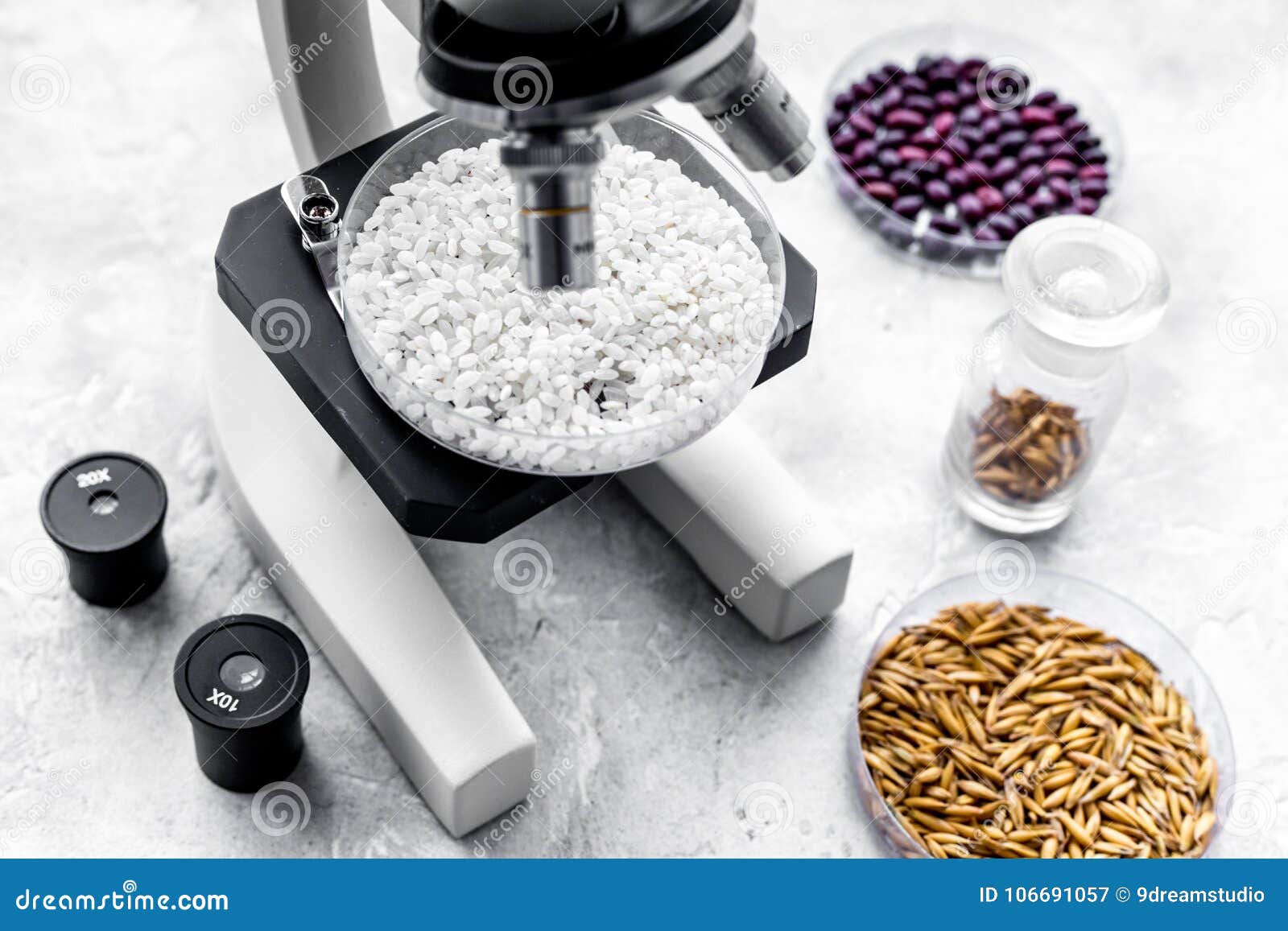 Food Analysis. Rice Under the Microscope on Grey Background Stock Image ...