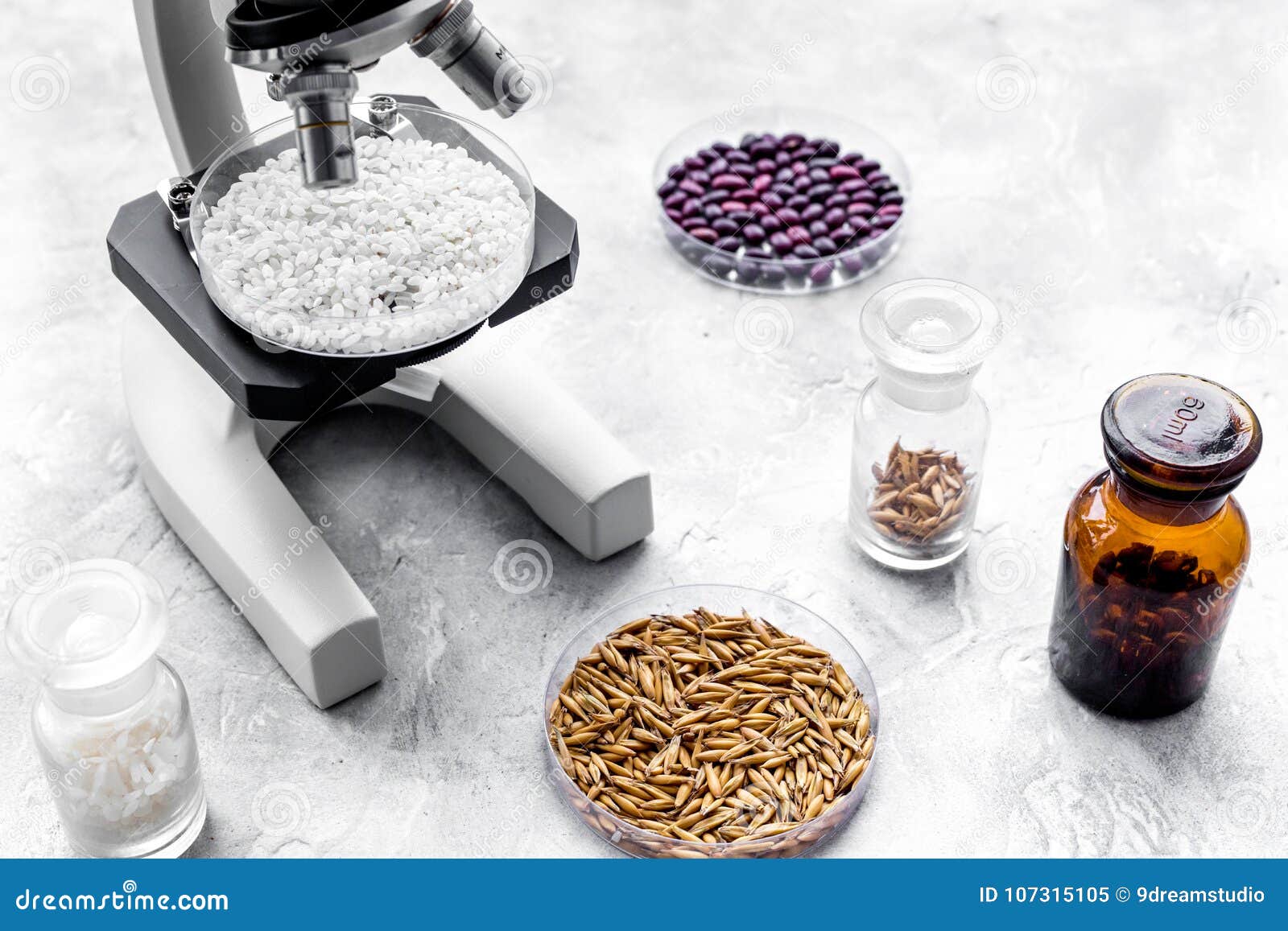 Food Analysis. Rice Under the Microscope on Grey Background Stock Image ...