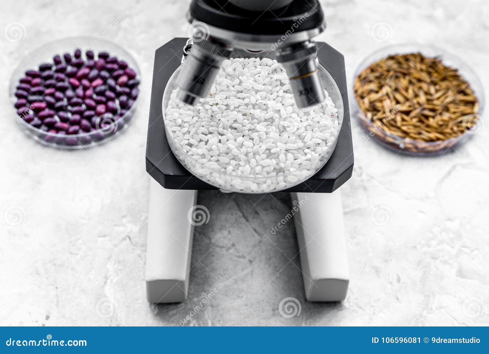 Food Analysis. Rice Under the Microscope on Grey Background Stock Image ...