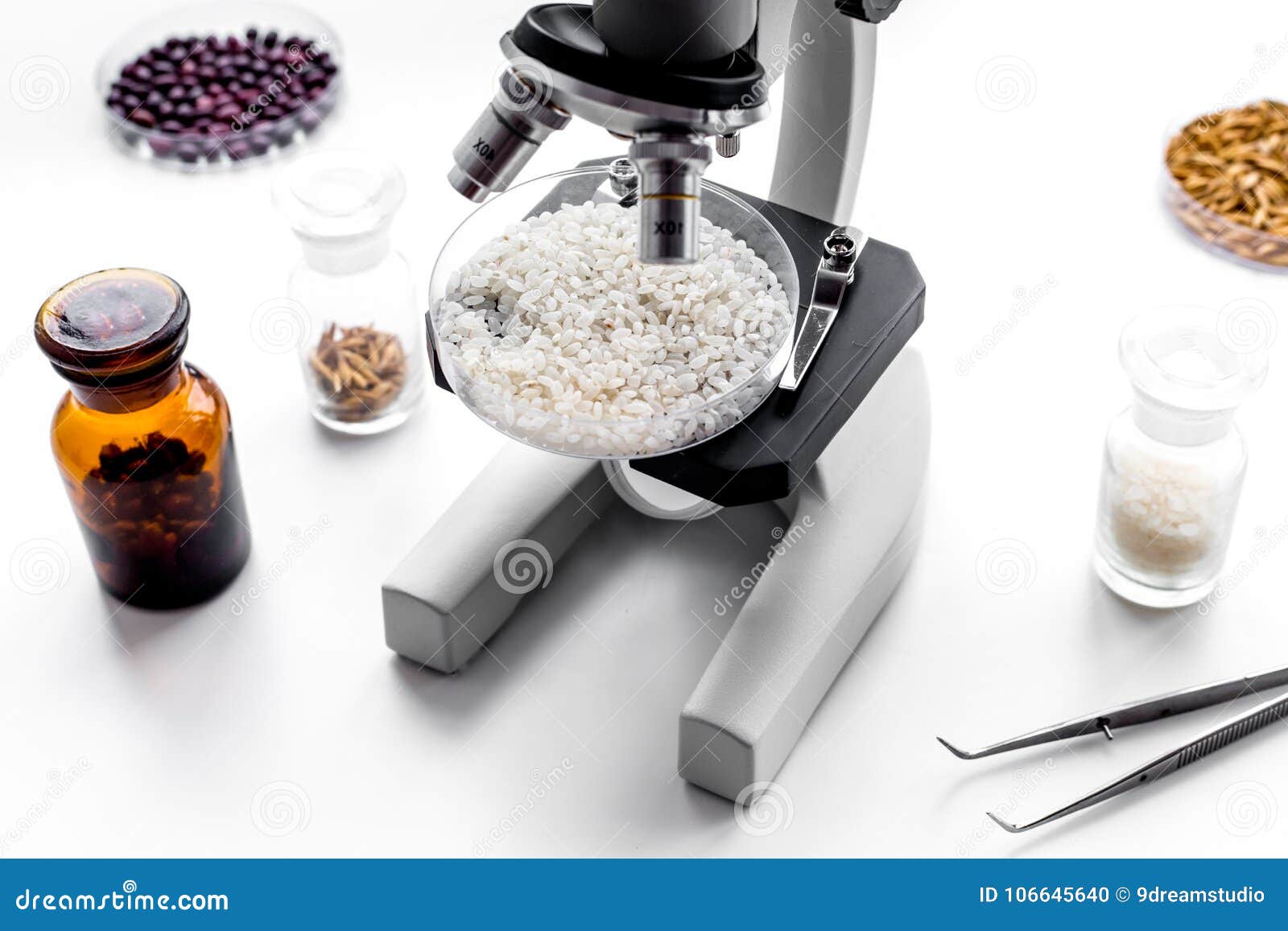 Food Analysis. Rice Under the Microscope on White Background Stock ...