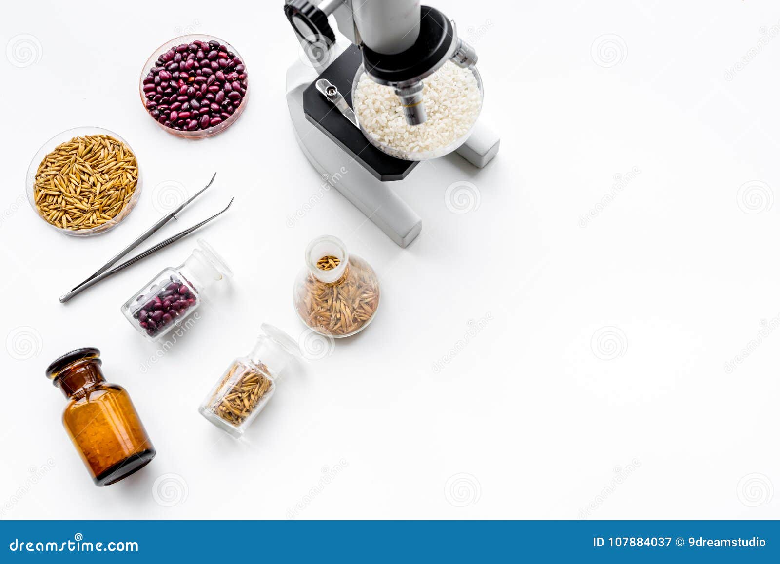 Food Analysis. Rice Under the Microscope on White Background Top View ...