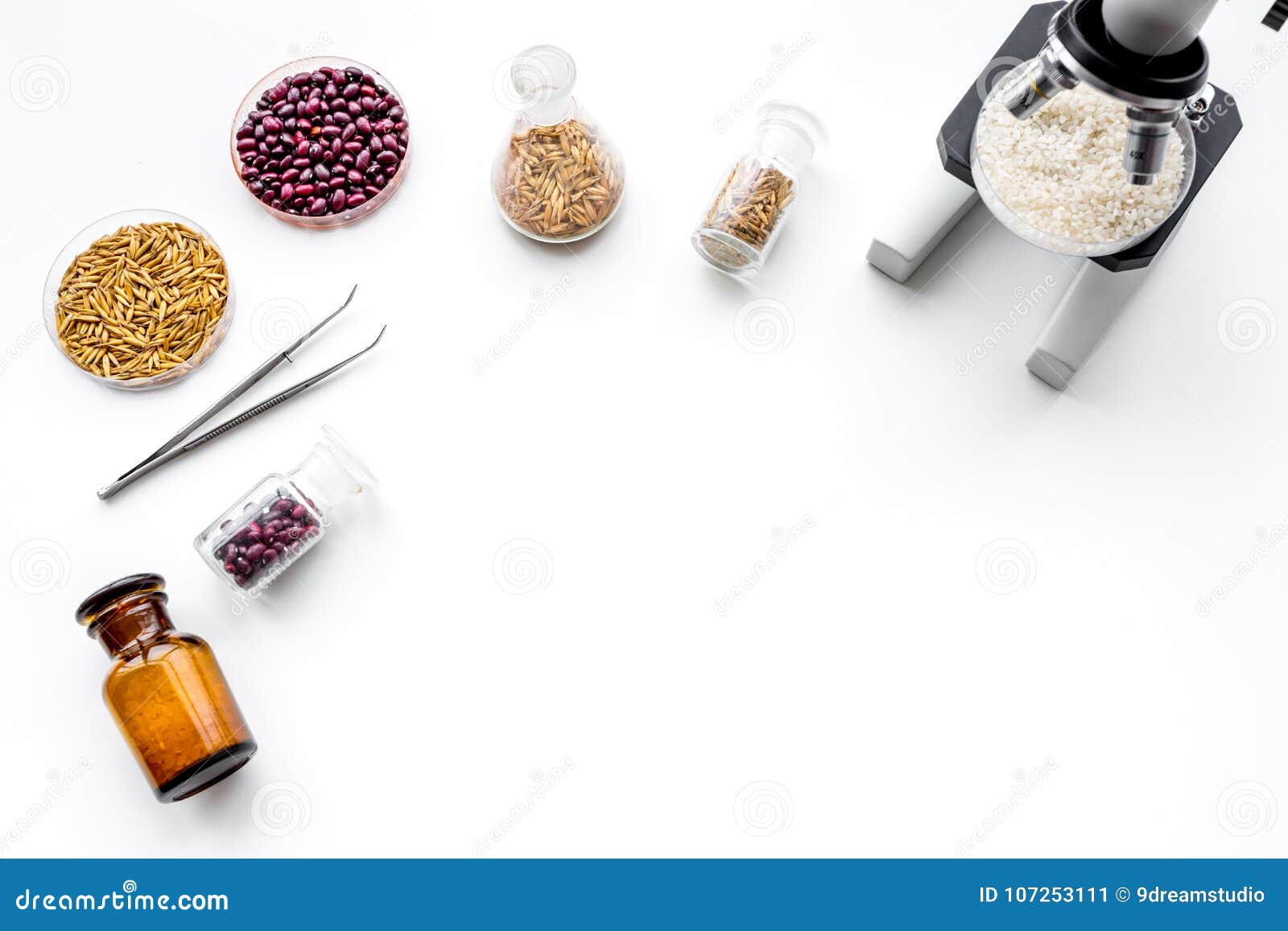Food Analysis. Rice Under the Microscope on White Background Top View ...