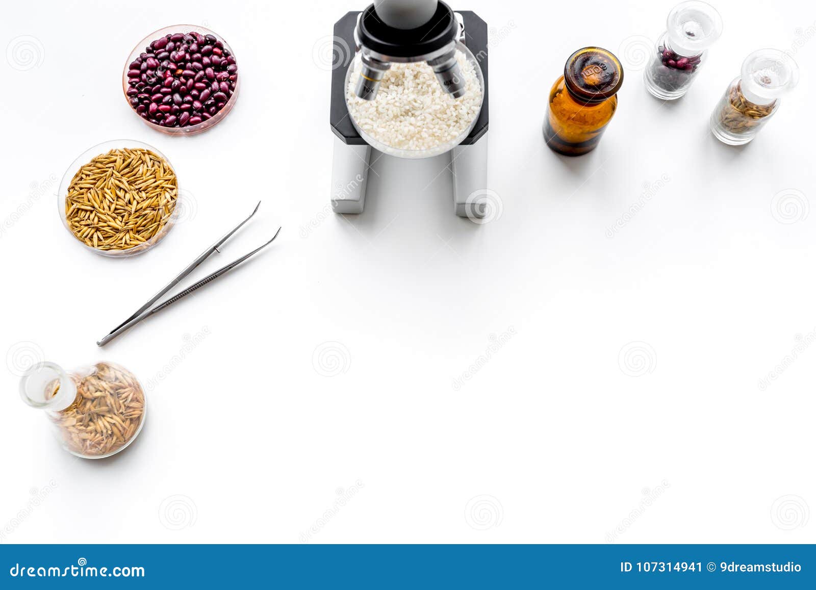 Food Analysis. Rice Under the Microscope on White Background Top View ...